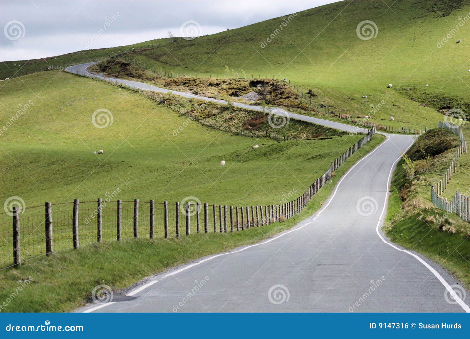 Route de campagne photo stock. Image du lecteur, fichier - 9147316