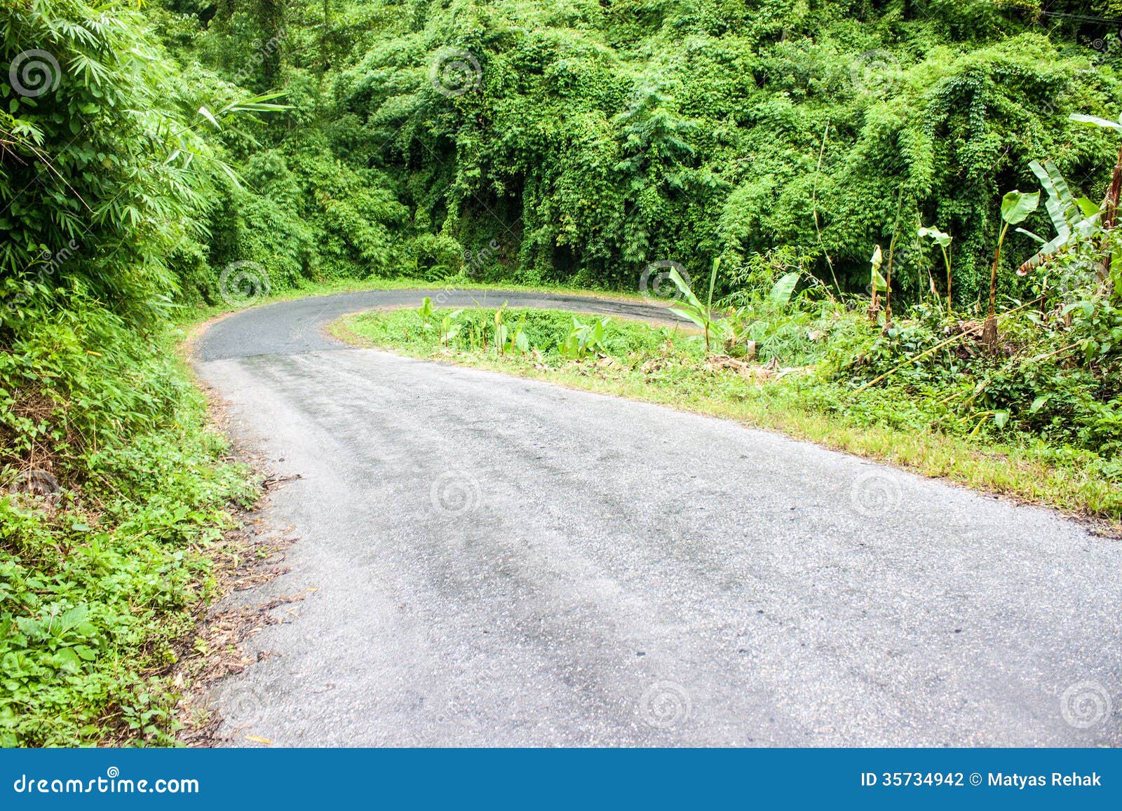 Route de jungle photo stock. Image du itinéraire, asiatique - 35734942