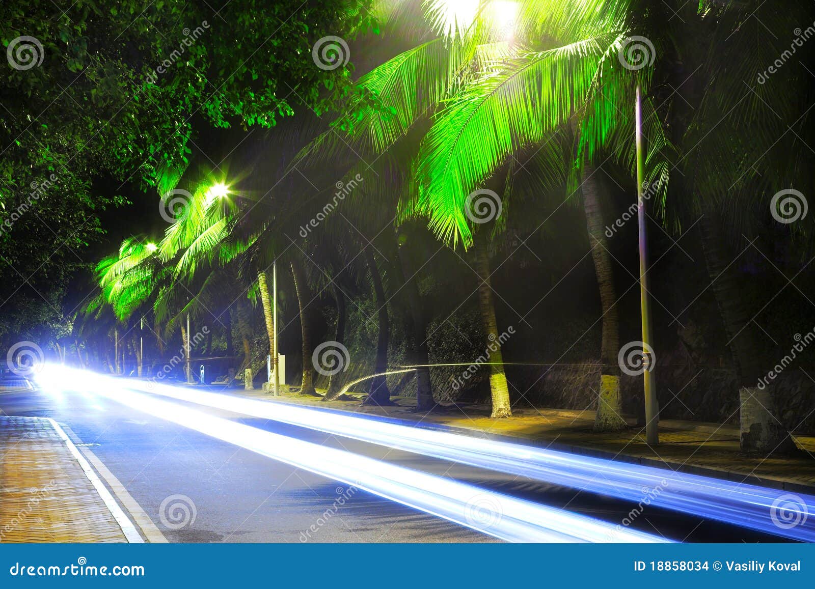 Route de nuit photo stock. Image du forêt, soirée, environnement - 18858034