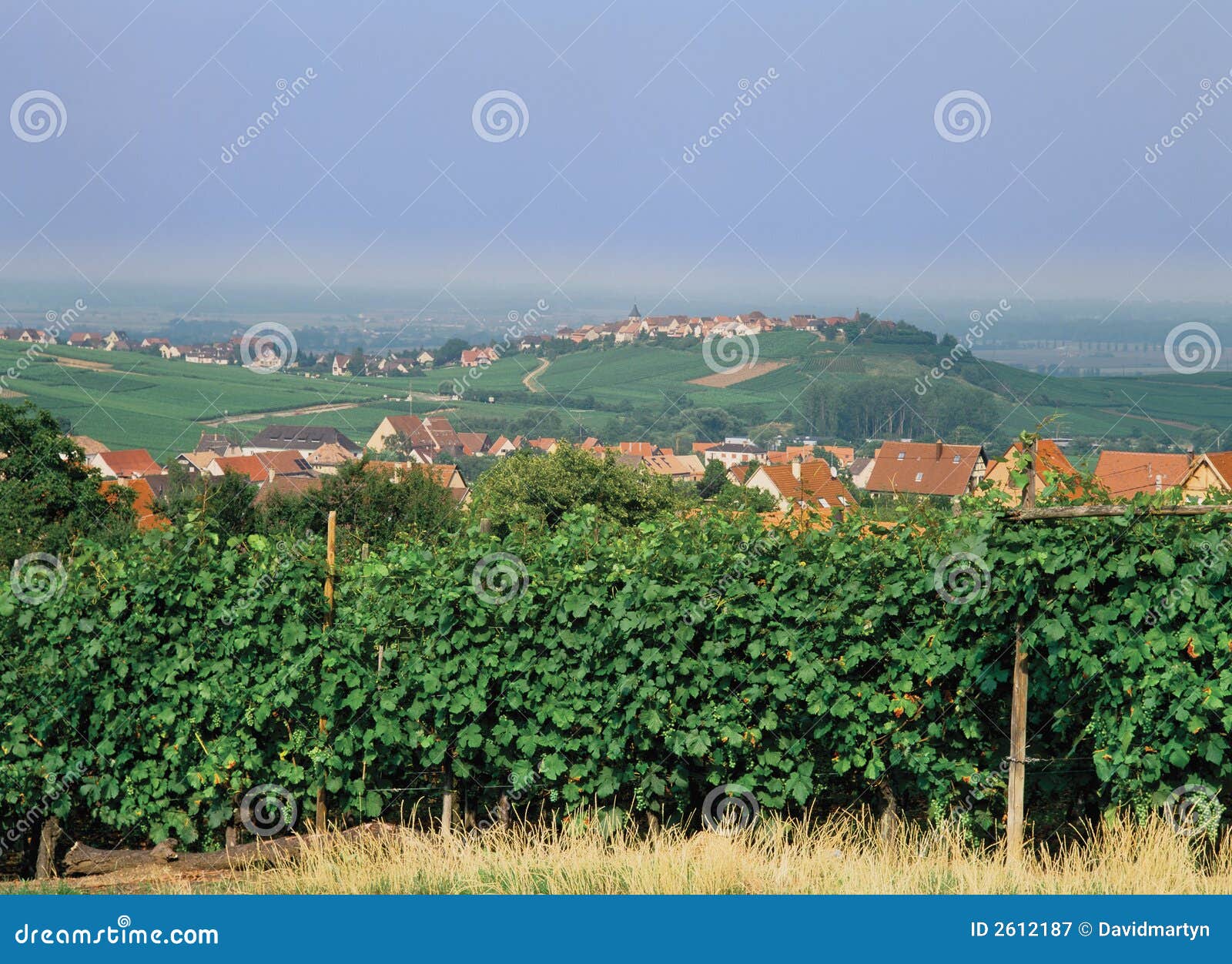 Route Des Vins Alsace France Stock Image - Image of hills, country: 2612187