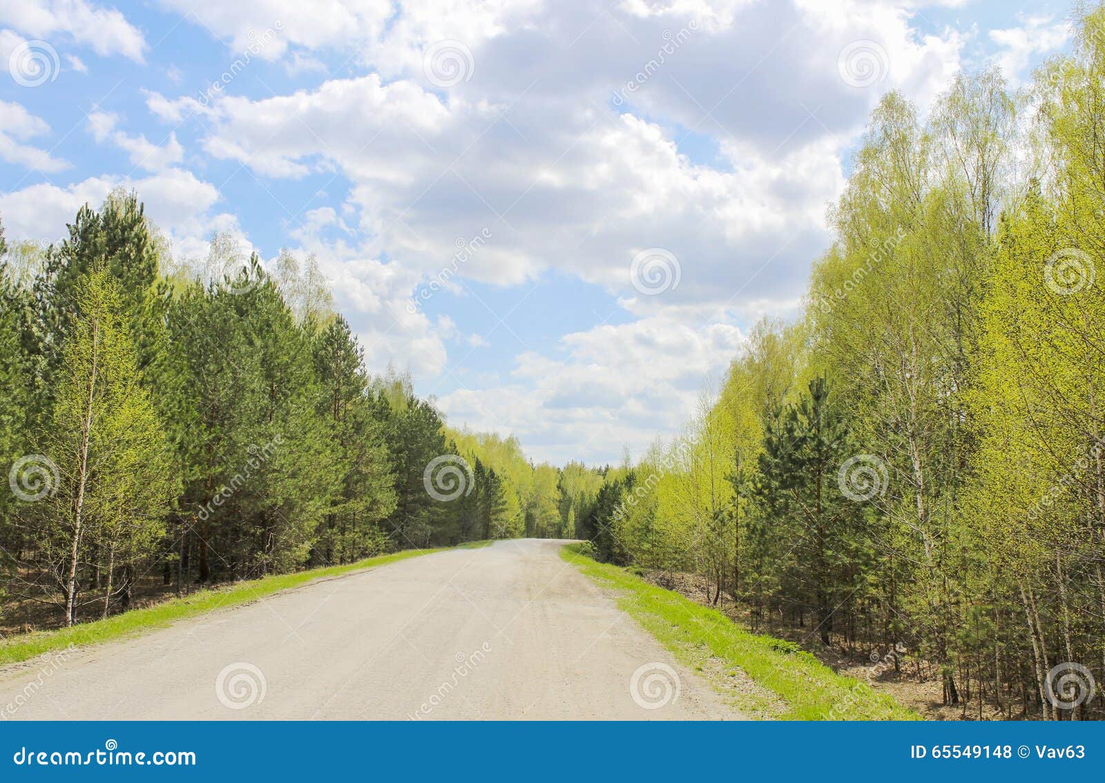 The Route through the Forest Stock Photo - Image of beautiful, motion ...