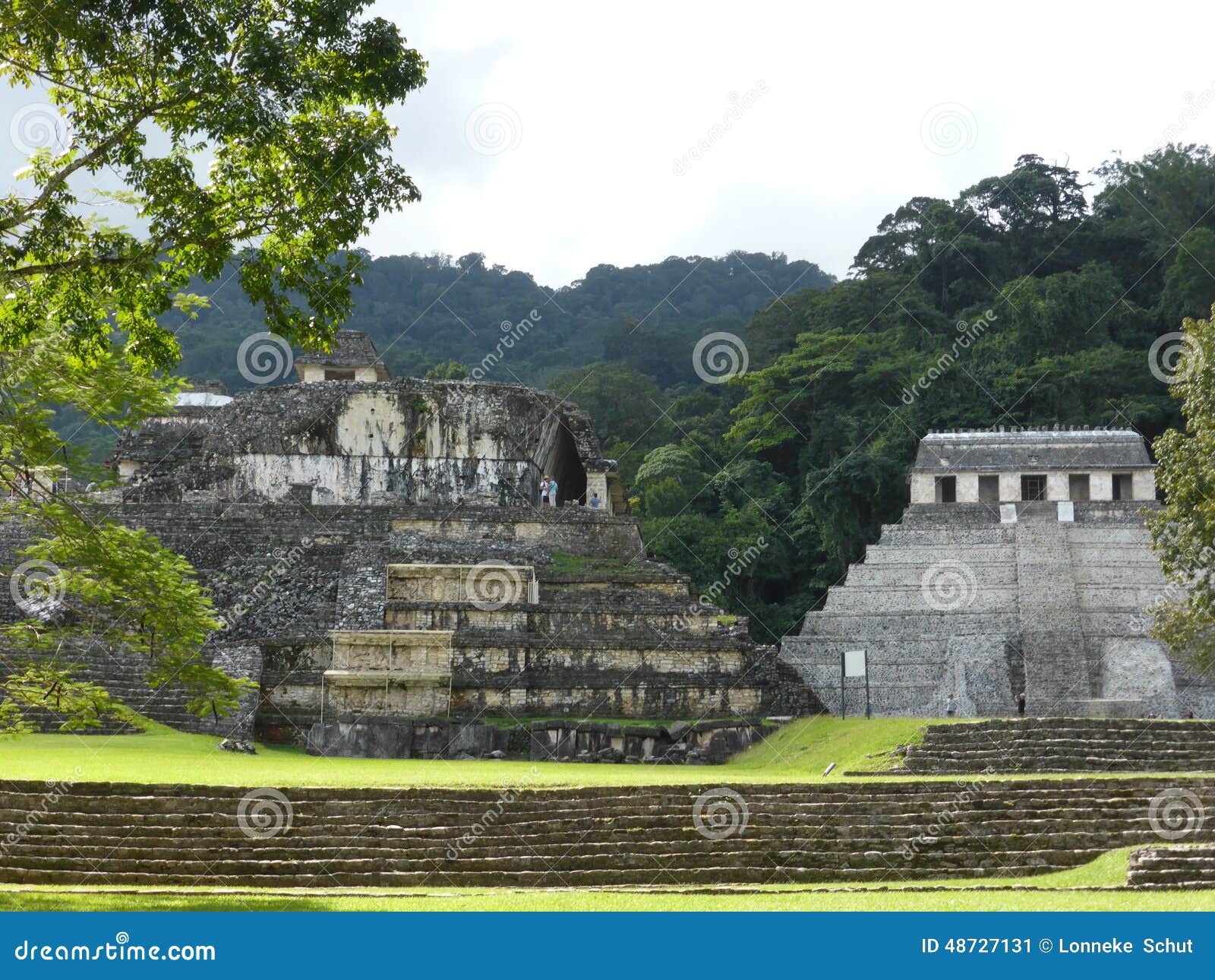 Rovine Di Palenque, Messico Fotografia Editoriale - Immagine di vista ...