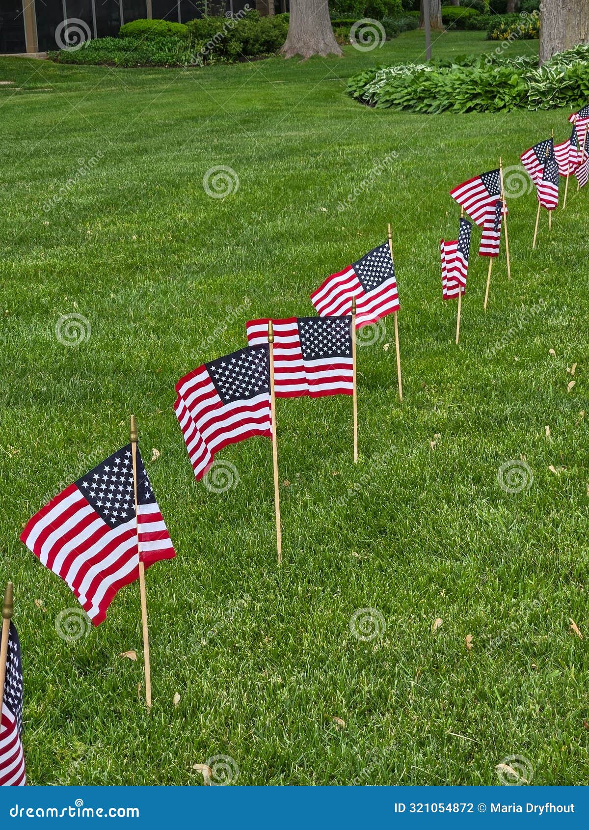Row of American Flags in a Green Yard Stock Photo - Image of icon ...