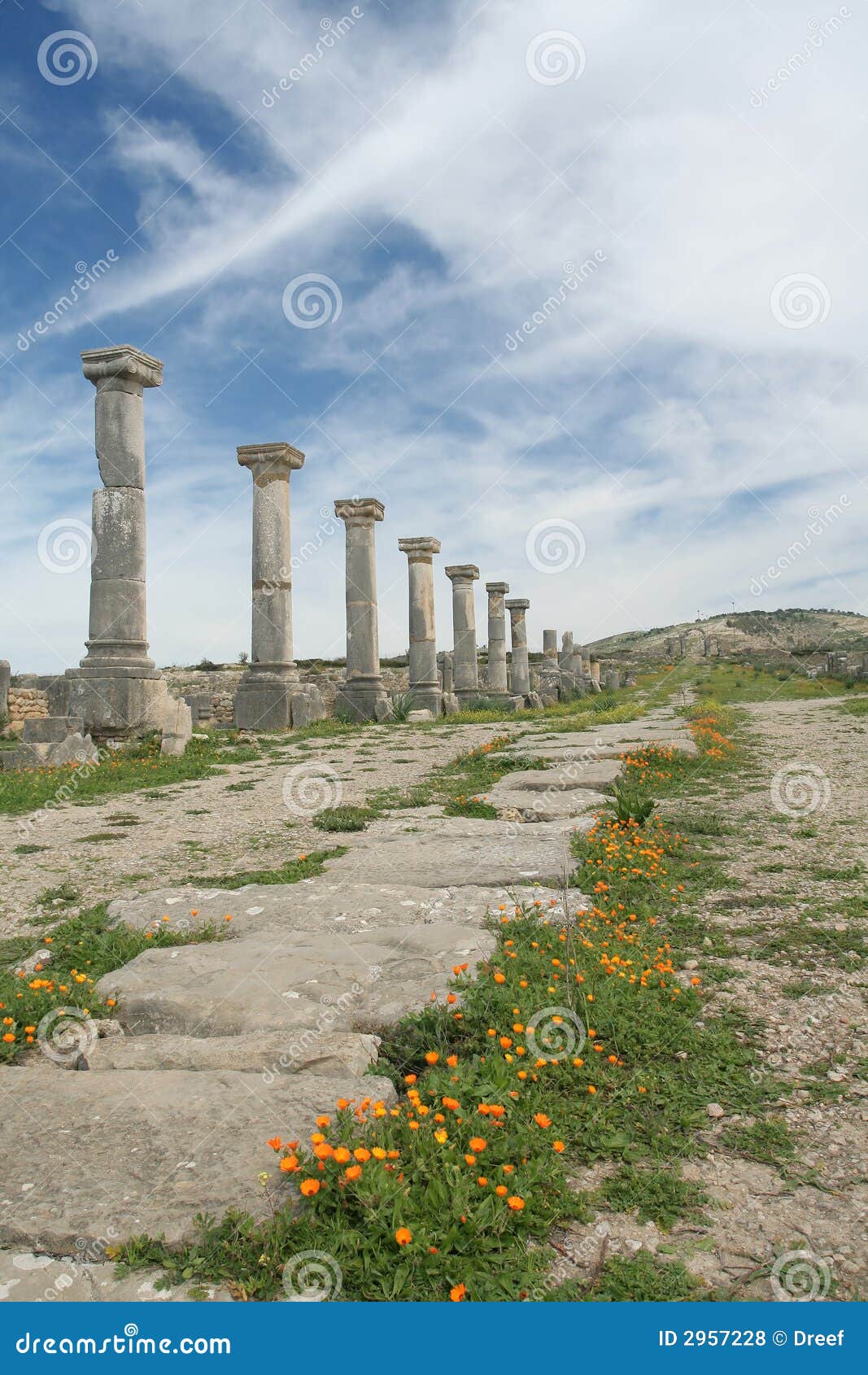 Row of Ancient Roman Column Stock Photo - Image of column, africa: 2957228