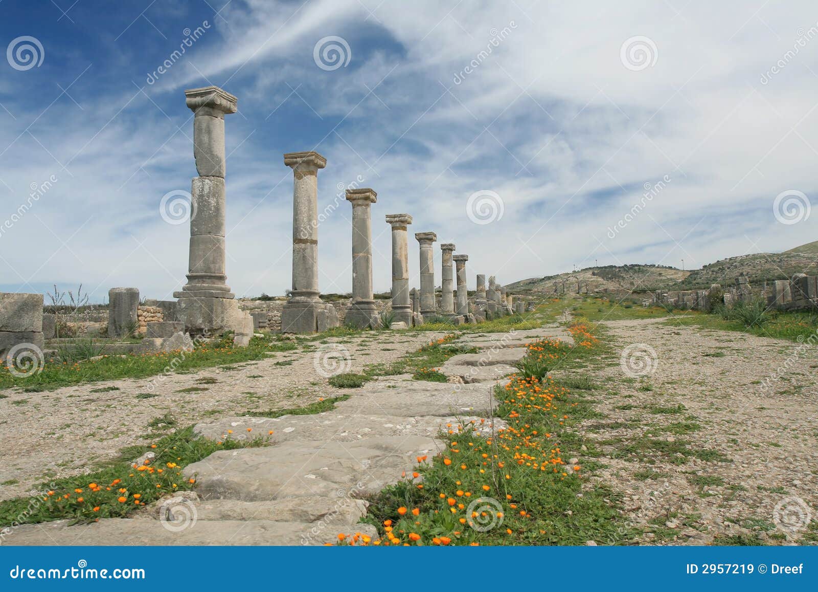 Row Of Ancient Roman Columns Royalty-Free Stock Photography ...