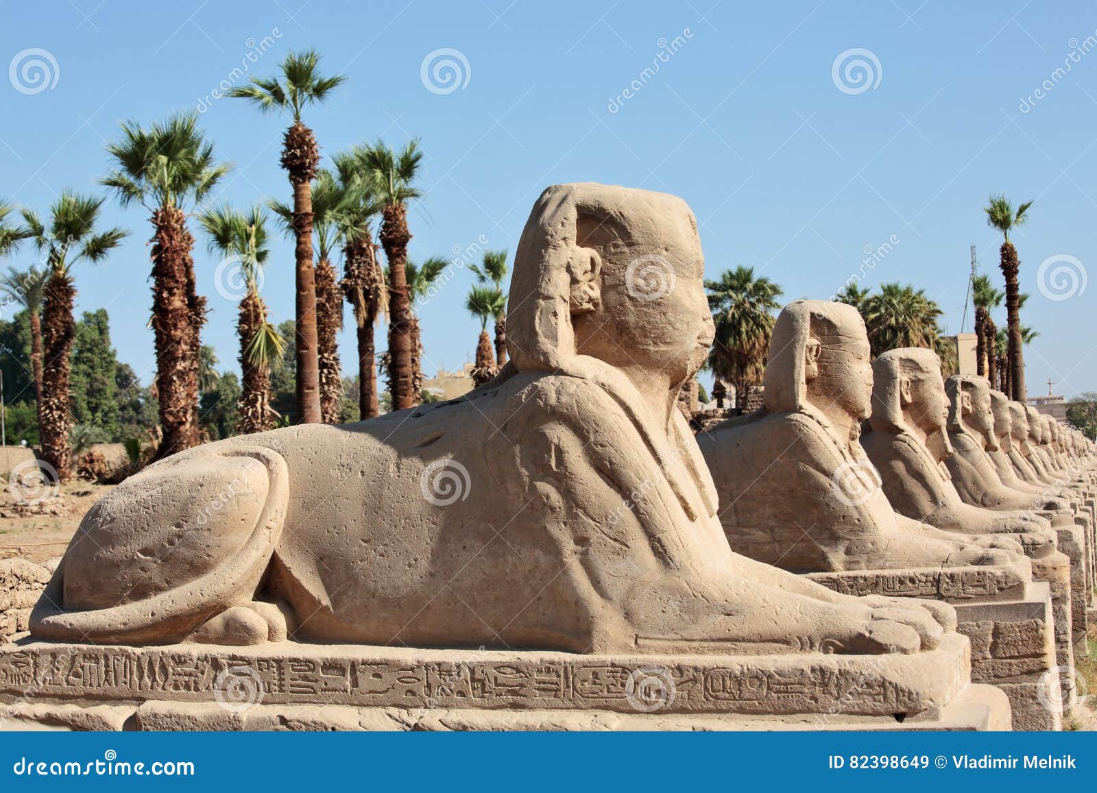 Row of ancient sphinxes stock image. Image of historical - 82398649