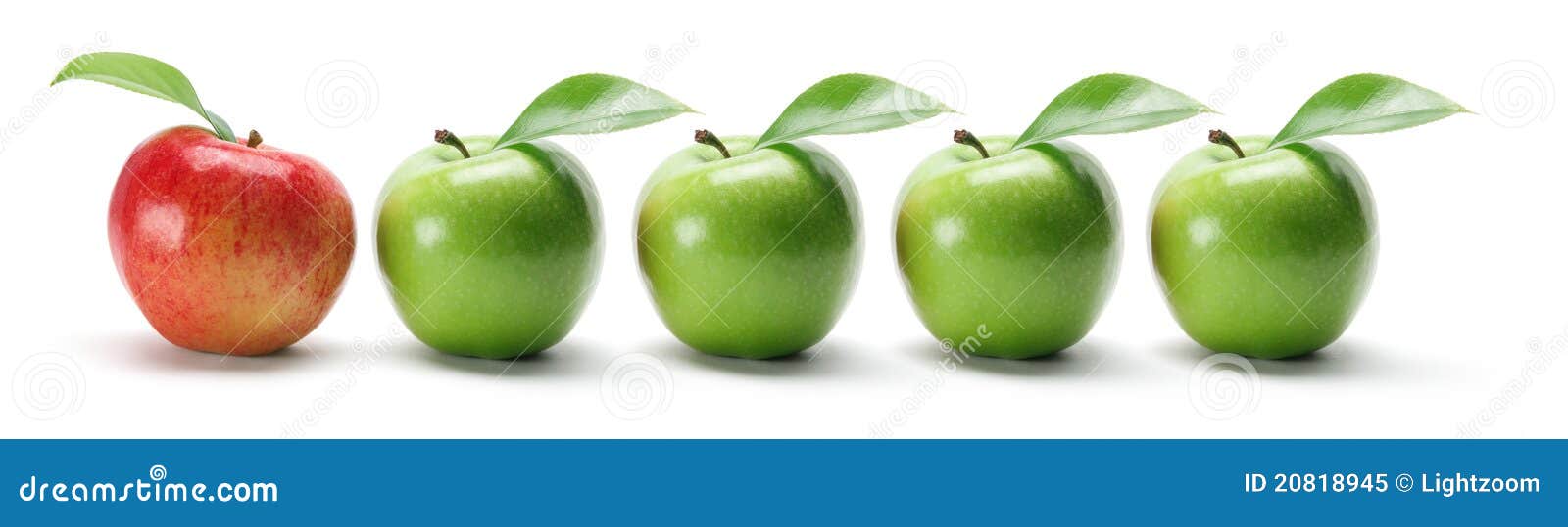Row of Apples stock image. Image of food, apples, fresh - 20818945