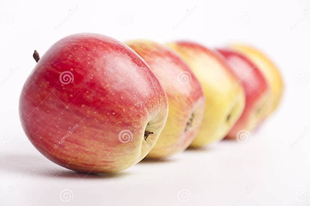 A row of apples stock photo. Image of nature, fresh, ripe - 25419124