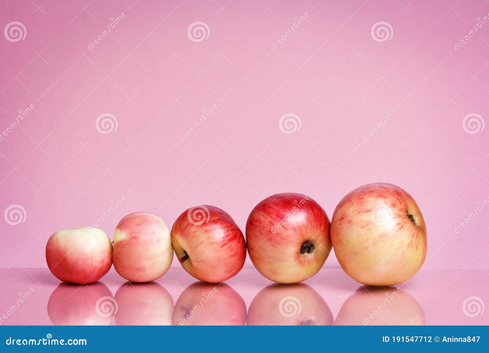 Apples Of Different Sizes And Colors Set Upon Wooden Railing For ...