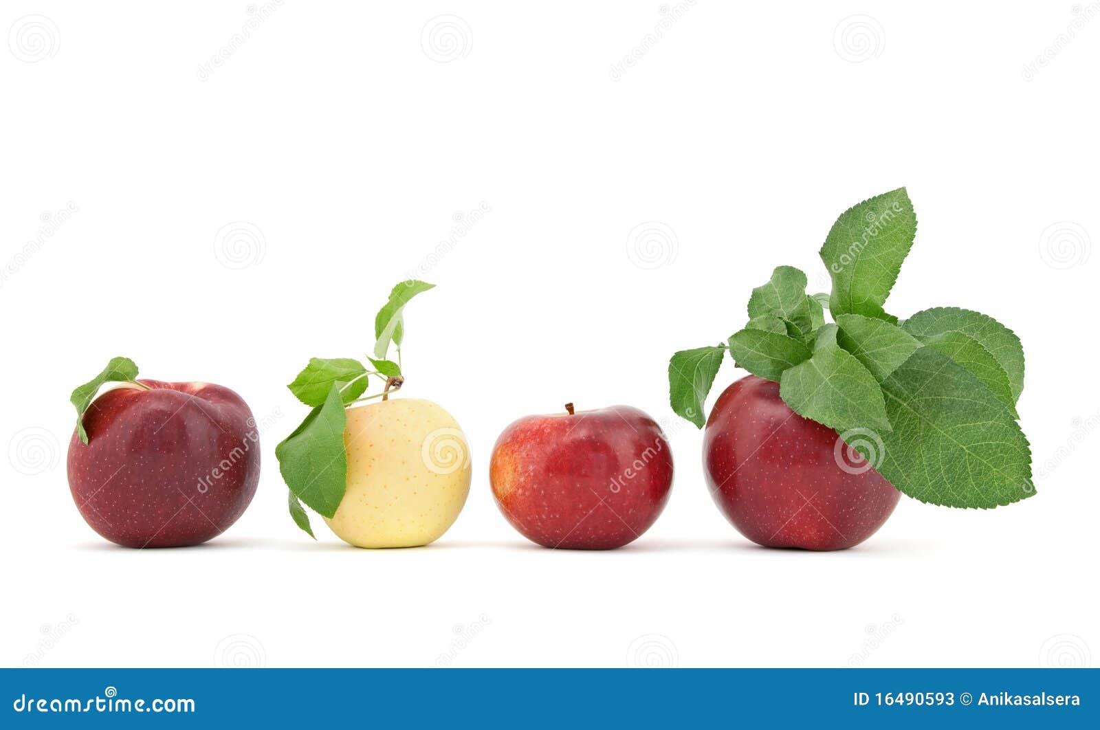 Row of Apples with Leaves on White Background Stock Image - Image of ...