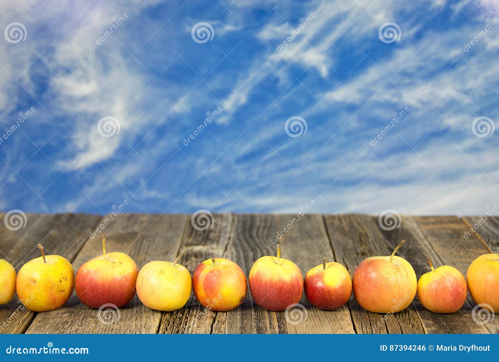 Row of apples on wood stock photo. Image of deck, nutritious - 87394246