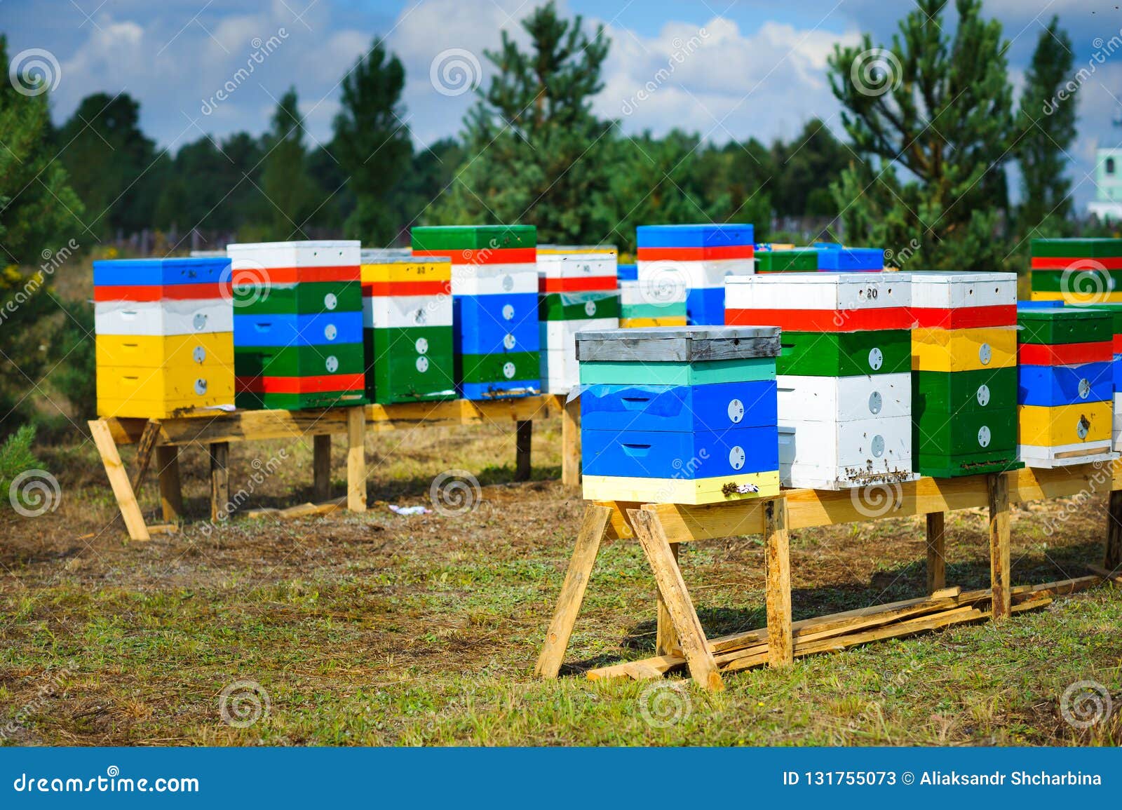 Row of Bee Colored Hives in Field Stock Image - Image of bees, animal ...