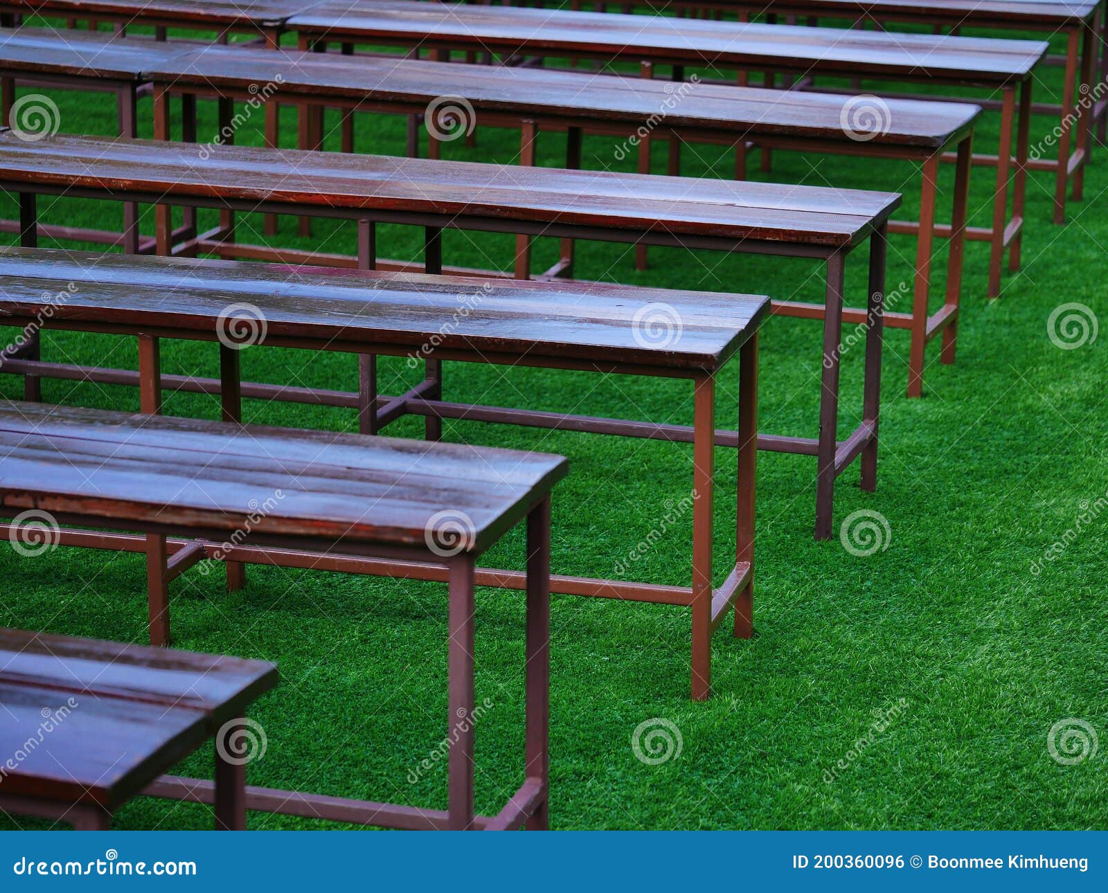 Row of Bench on Green Grass To Take a Seat for Rest in Garden or Queue ...