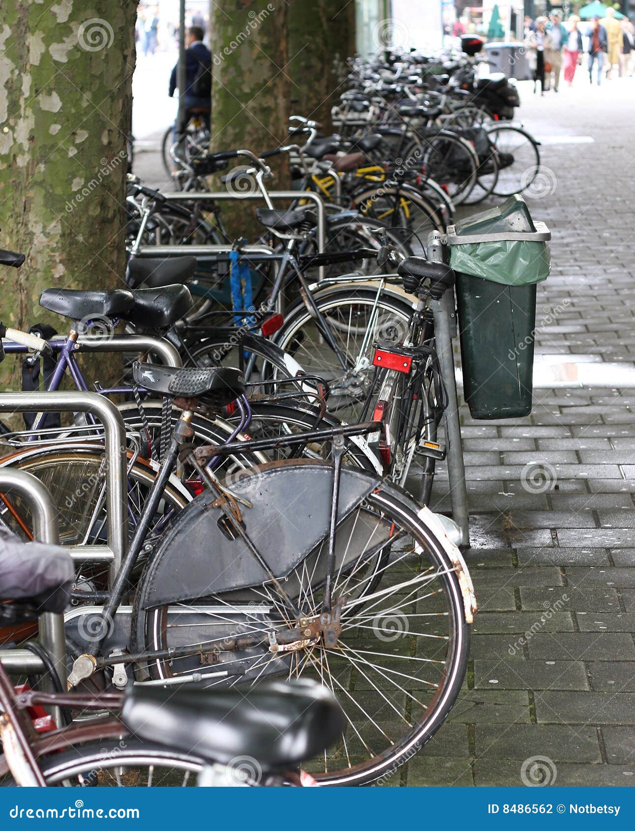Row of bicycles stock photo. Image of cyclist, bikes, lifestyle - 8486562