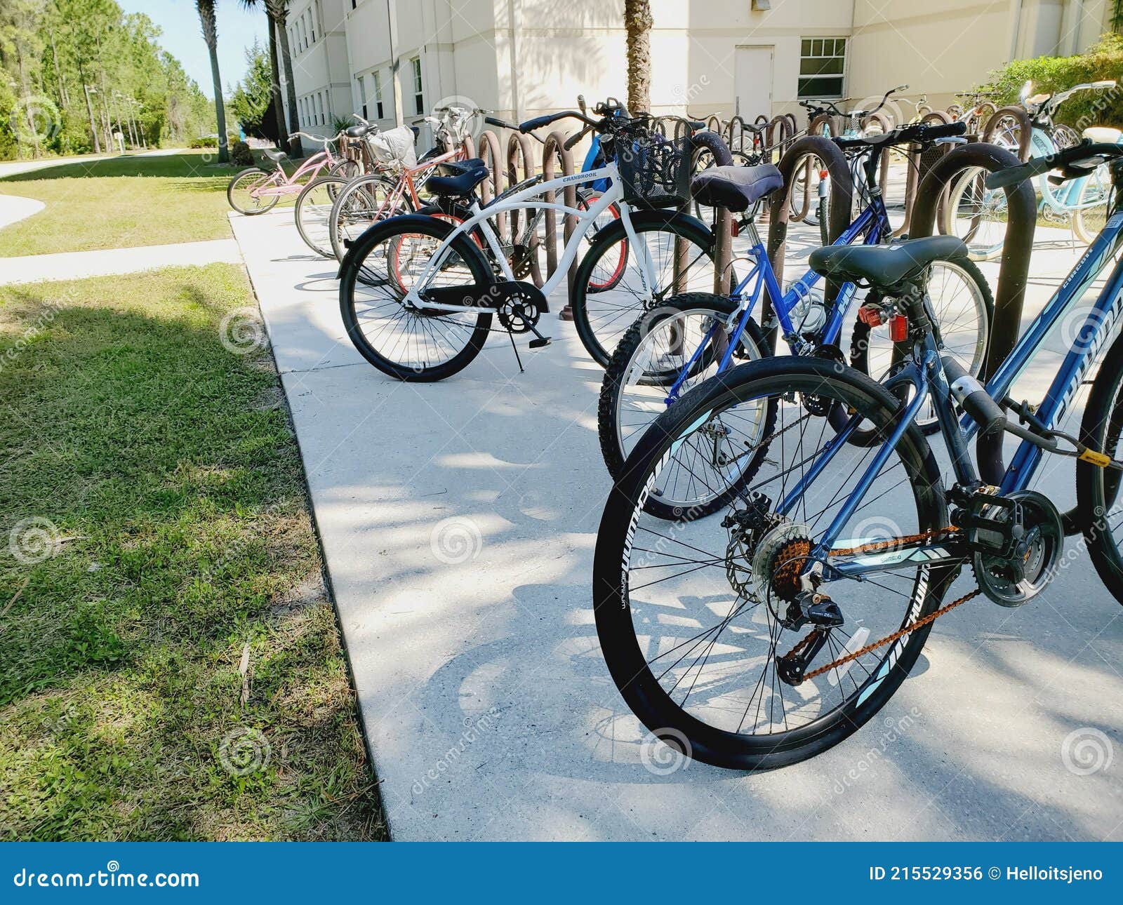 Row of Bike Racks Full of Bikes Editorial Photo - Image of wheel, bike ...