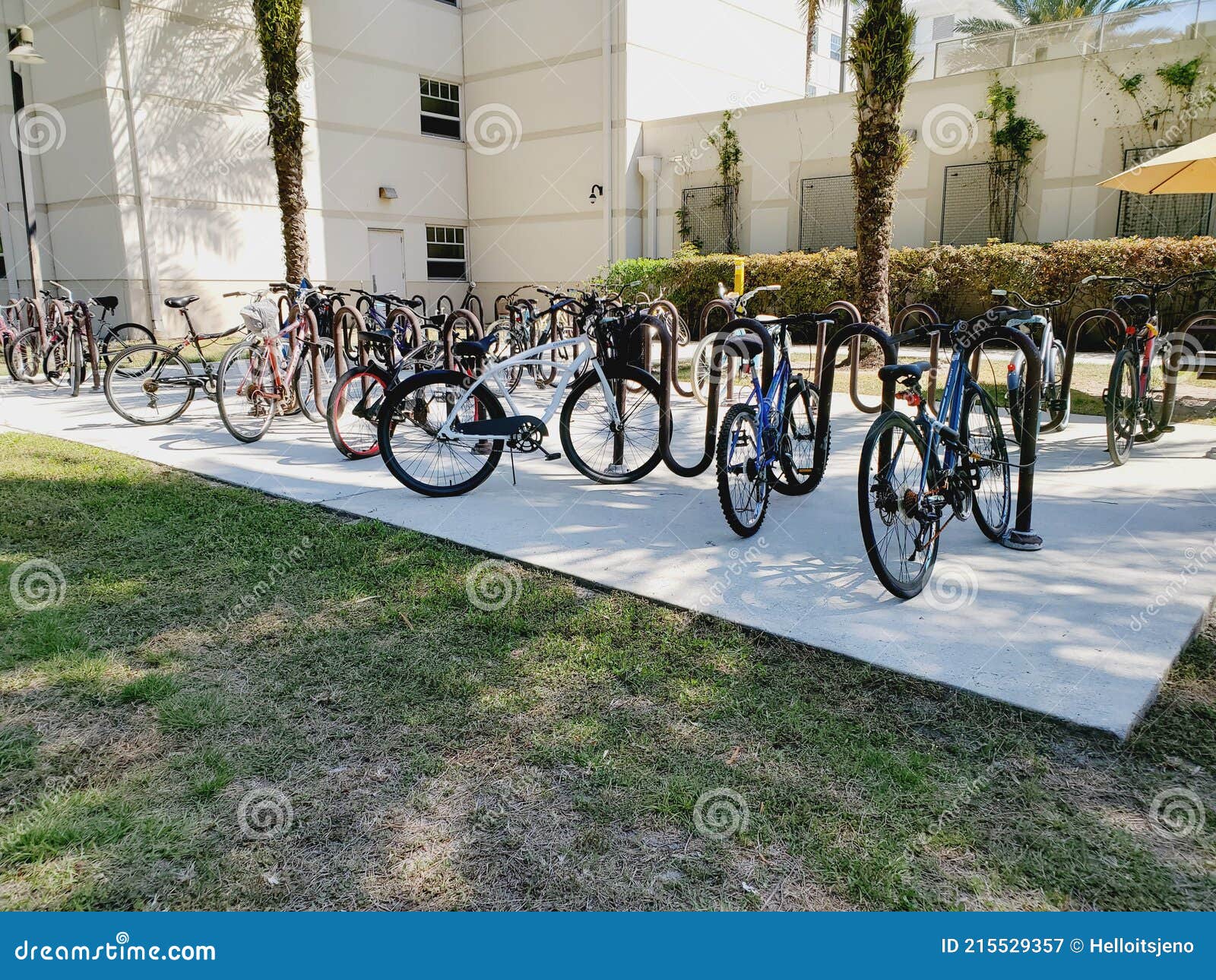 Row of Bike Racks Full of Bikes Editorial Photography - Image of street ...