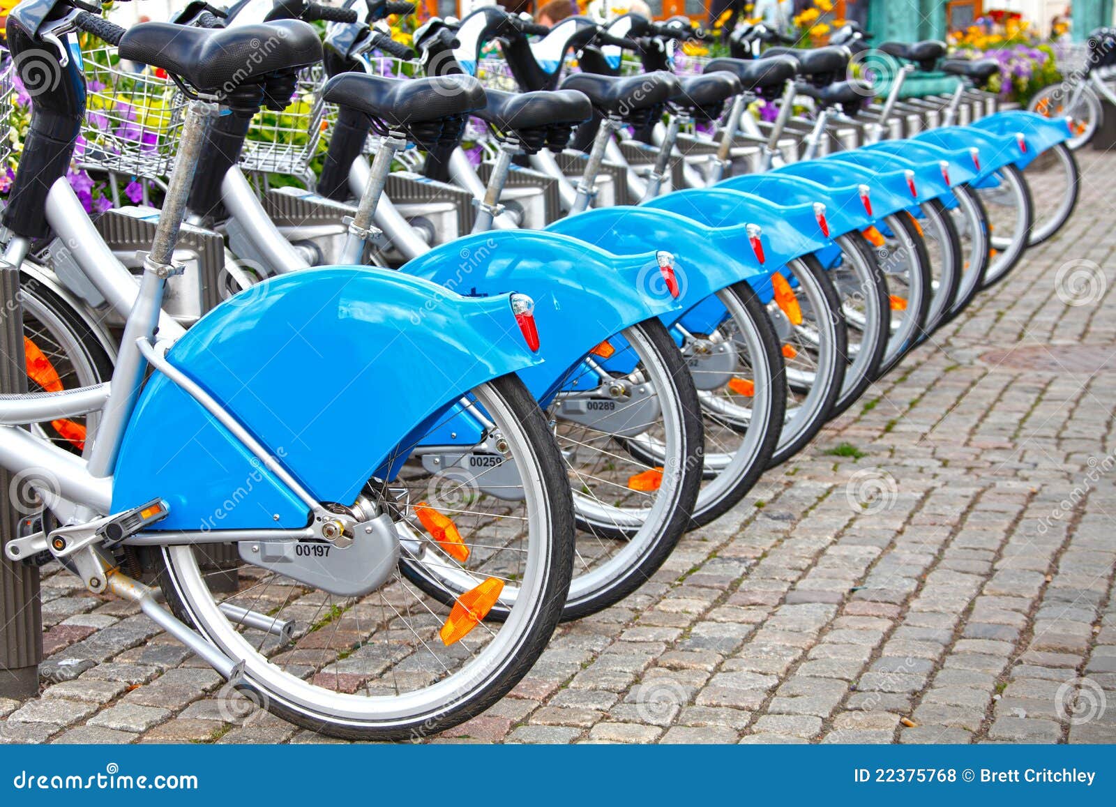 Row of bikes / bicycles stock photo. Image of center - 22375768