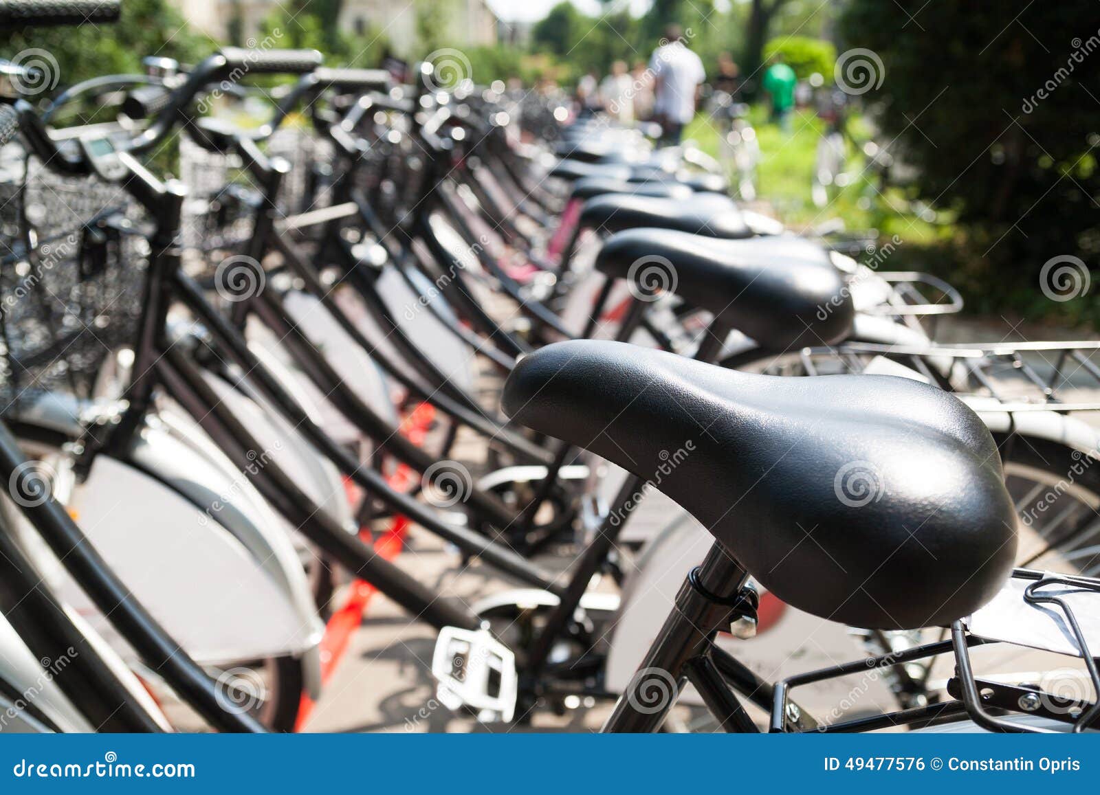 Row of bikes stock photo. Image of bikes, rent, summer - 49477576