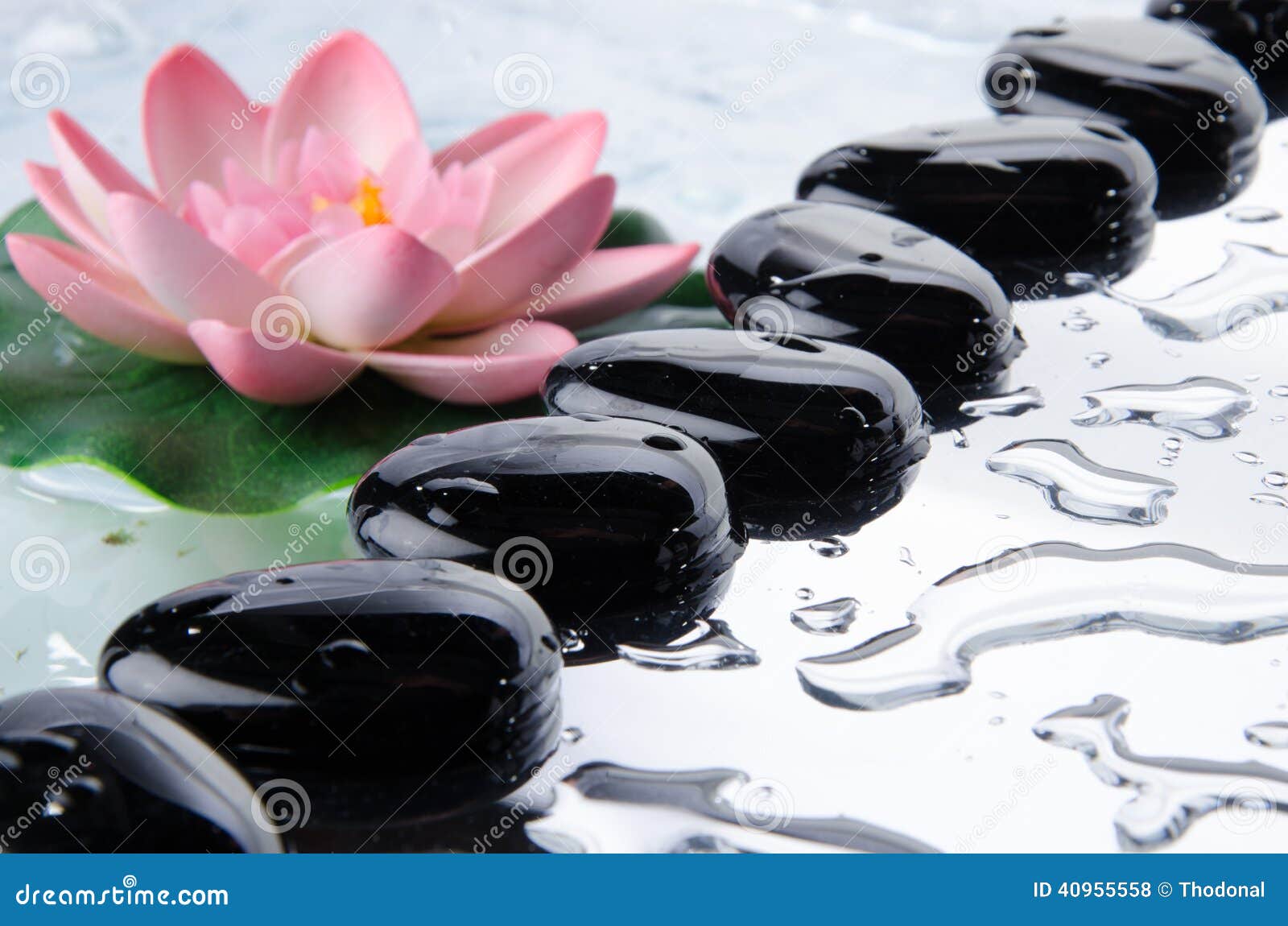 Row of black pebbles stock photo. Image of flora, wellness - 40955558