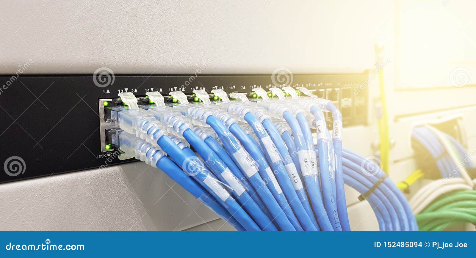 Row of Blue UTP Network Cables that are Connected To a Switch Stock ...