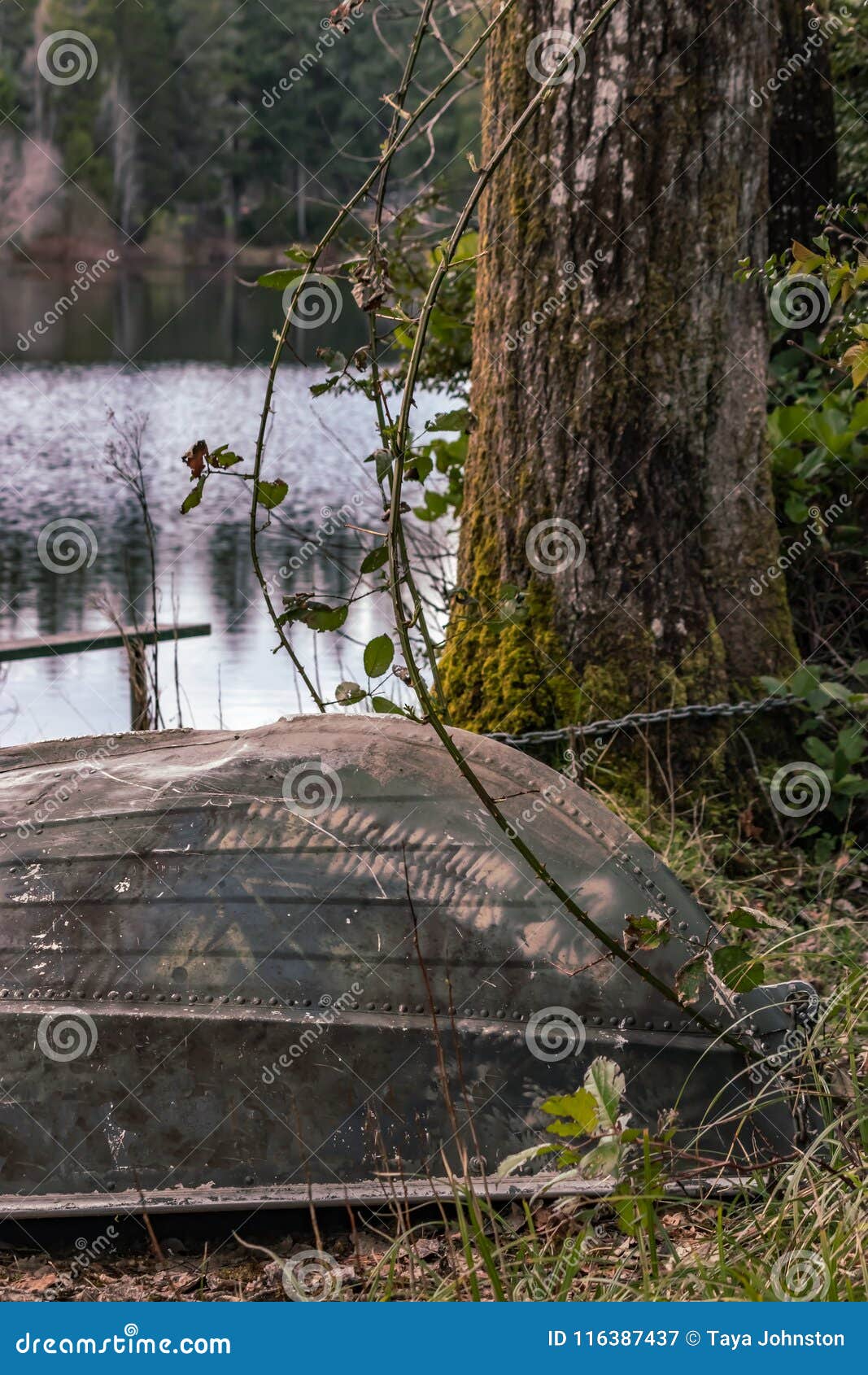 Row boat on lake shore stock image. Image of close, iron - 116387437