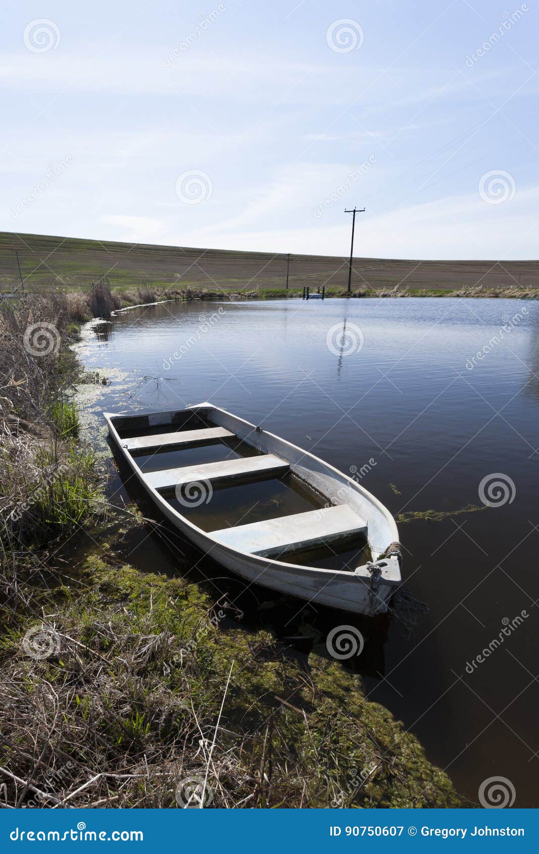 Row boat in a pond. stock image. Image of blue, pond - 90750607