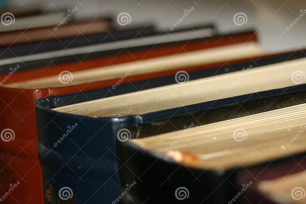 Row of books stock photo. Image of reading, books, education - 419680