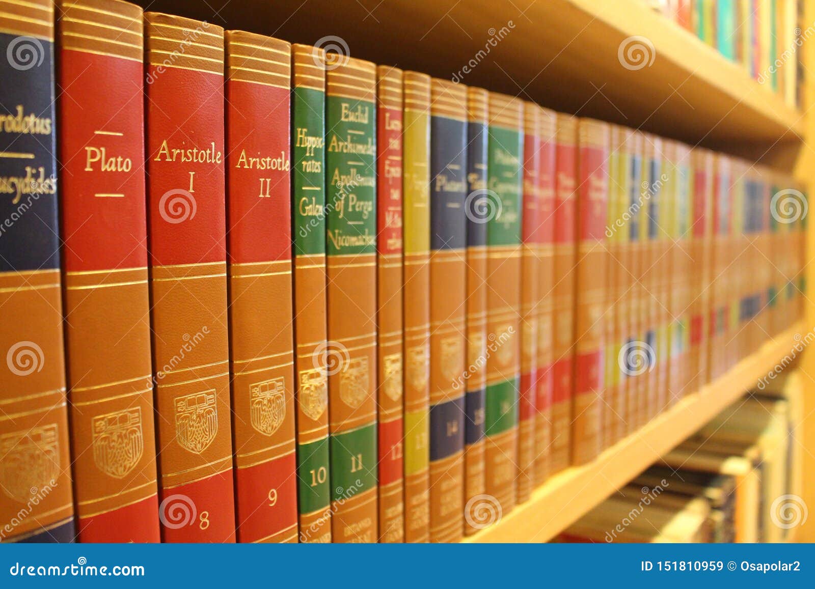 Row of books in a library editorial stock image. Image of bushtree ...