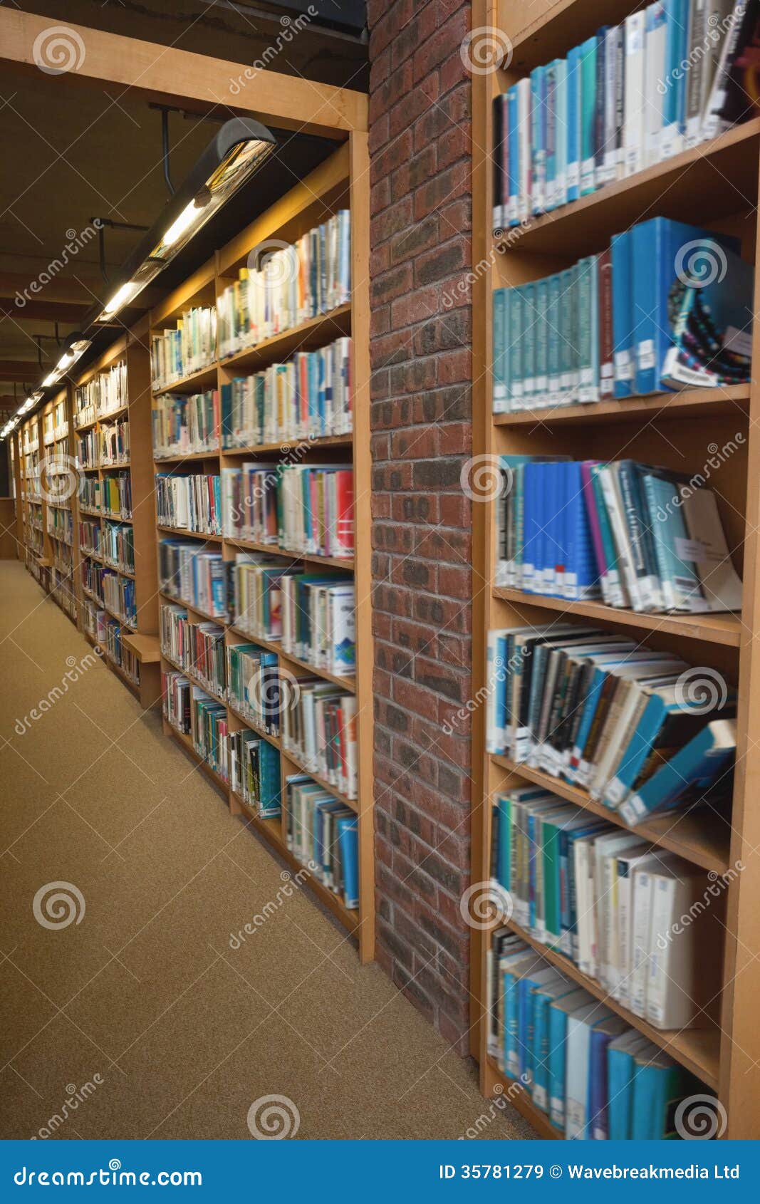 Row of Bookshelves Filled with Books Stock Image - Image of university ...