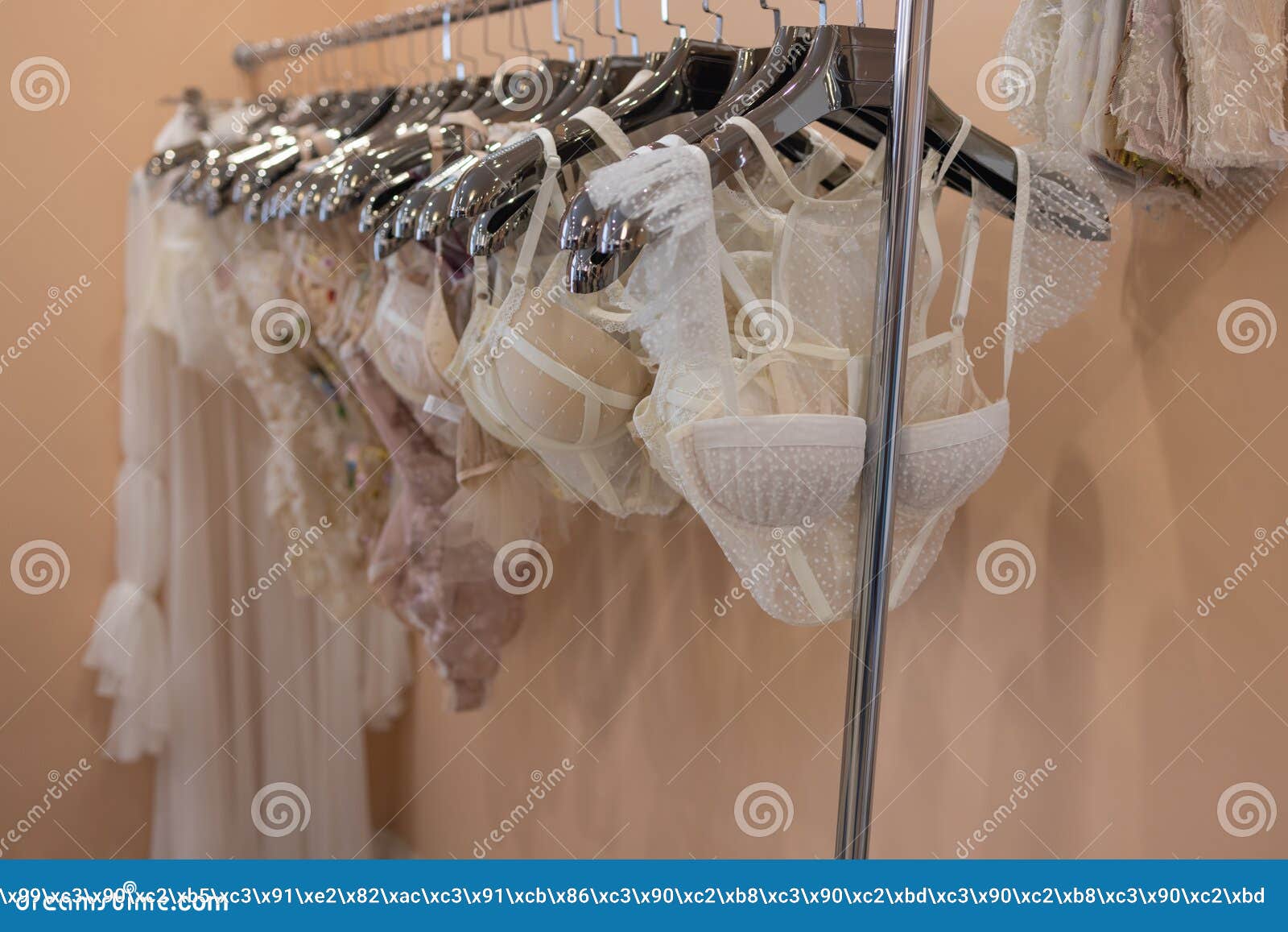 Row of Bras Hanging in Lingerie Store. Stock Photo - Image of customer ...