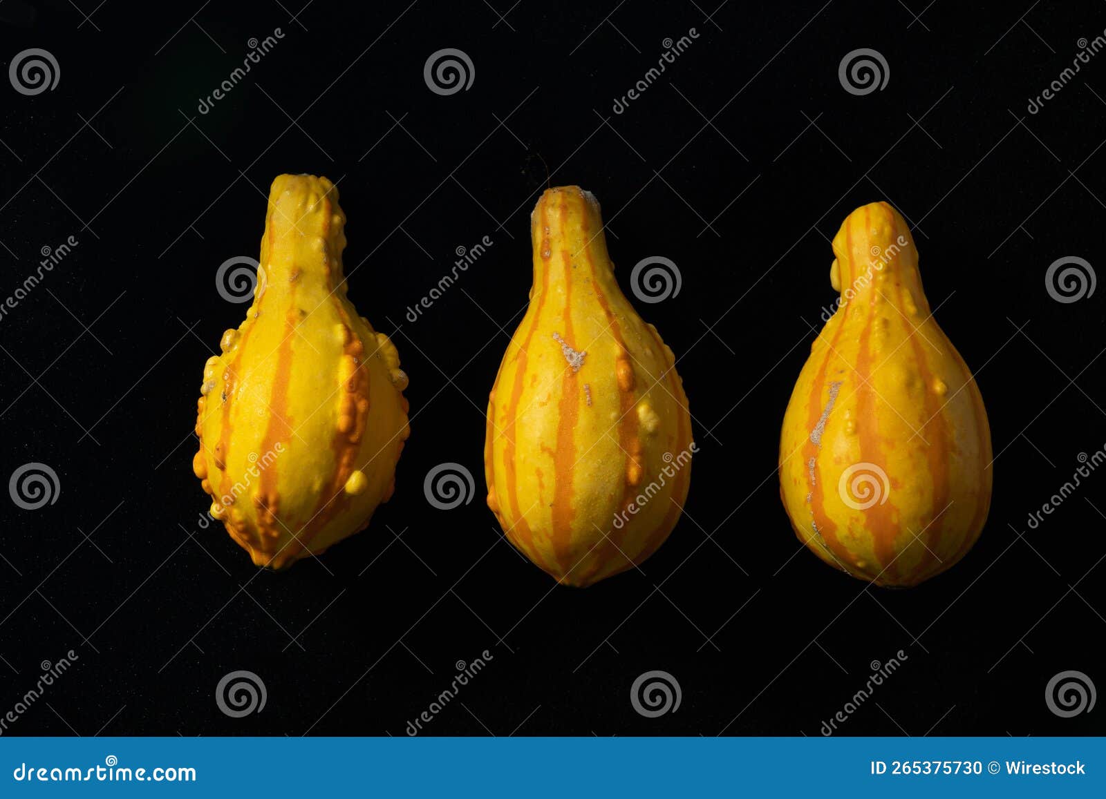 Row of Bright Yellow Gourds Isolated on a Black Background Stock Photo ...
