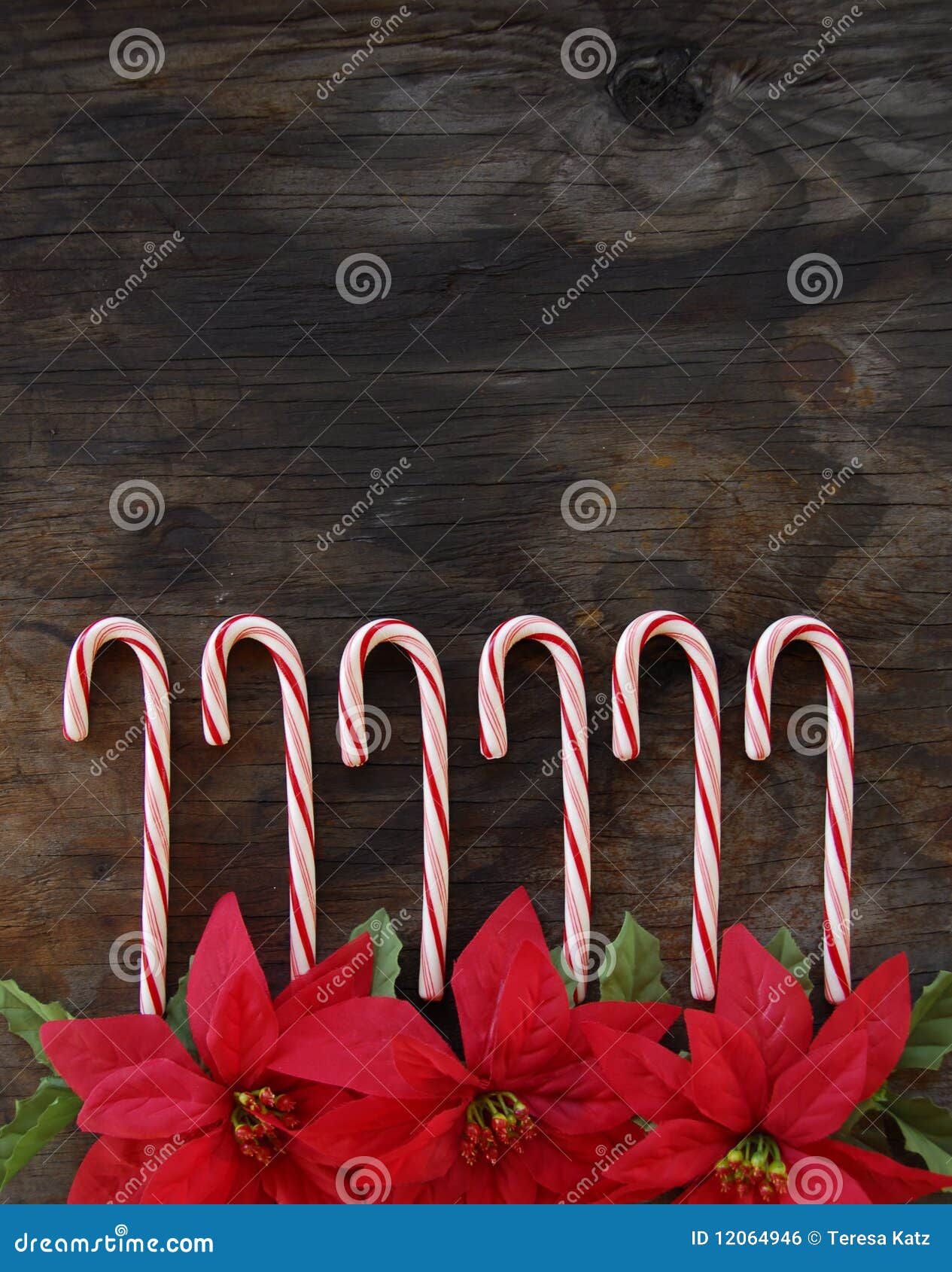 Row of Candy Canes on Wood Background Stock Photo - Image of flowers ...