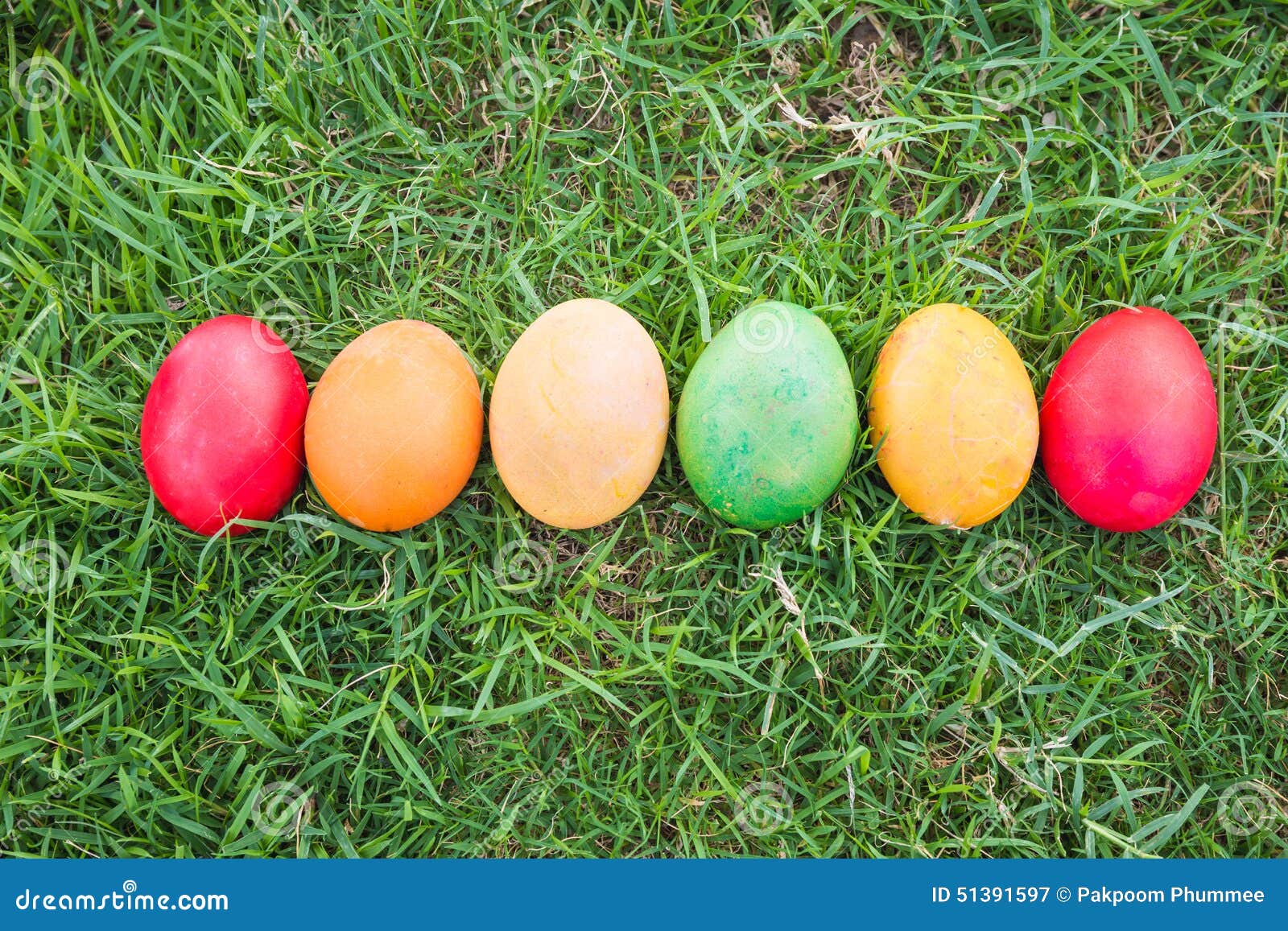 Row of Colorful Easter Eggs with Daisy Stock Image - Image of ...