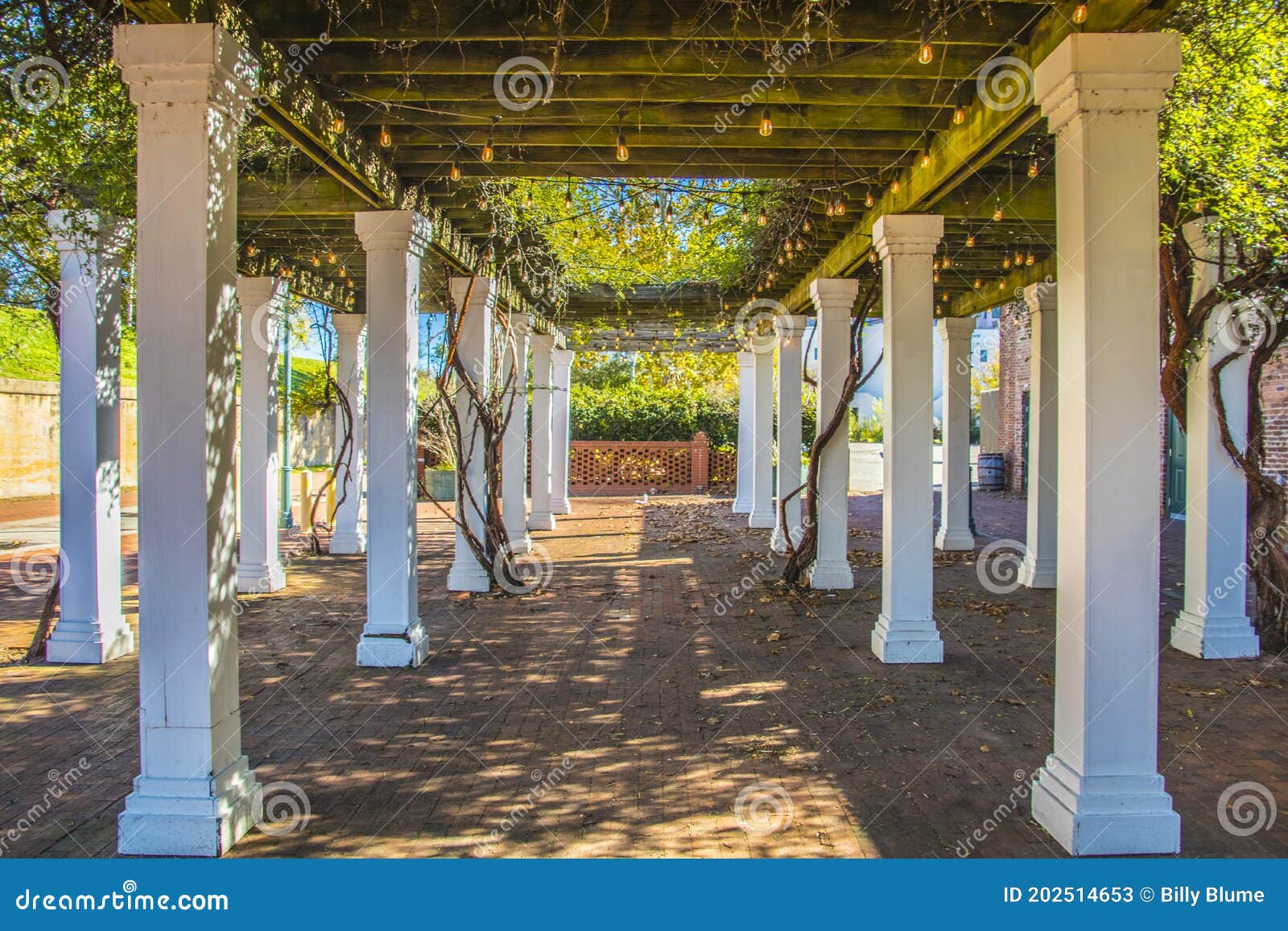 A Row of while Columns and a Canopy and Lights Stock Image - Image of ...
