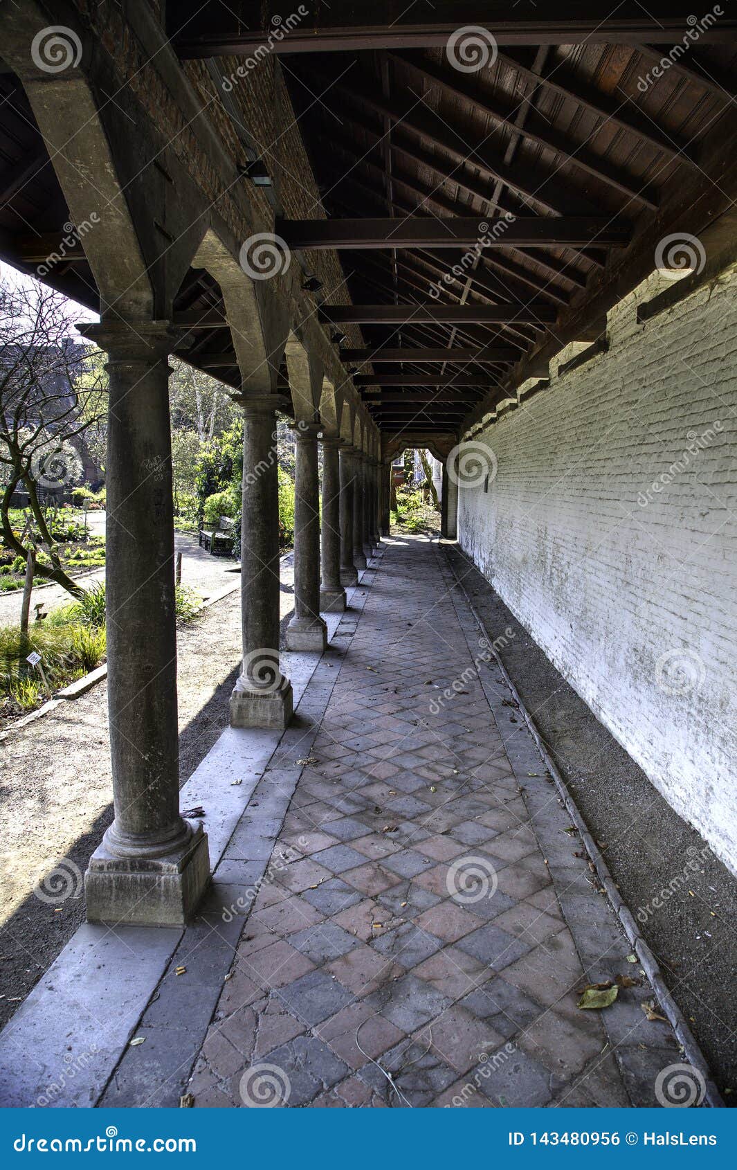 Row of columns stock photo. Image of cityscape, centre - 143480956