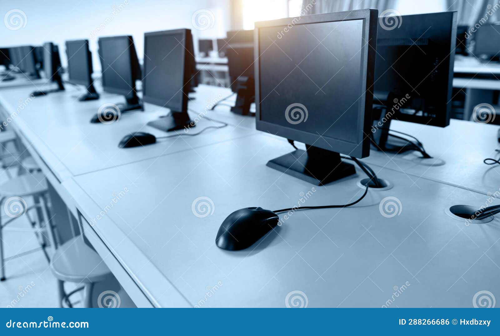 Row of Computers Neatly Placed in Lab Stock Photo - Image of center, neatly: 288266686