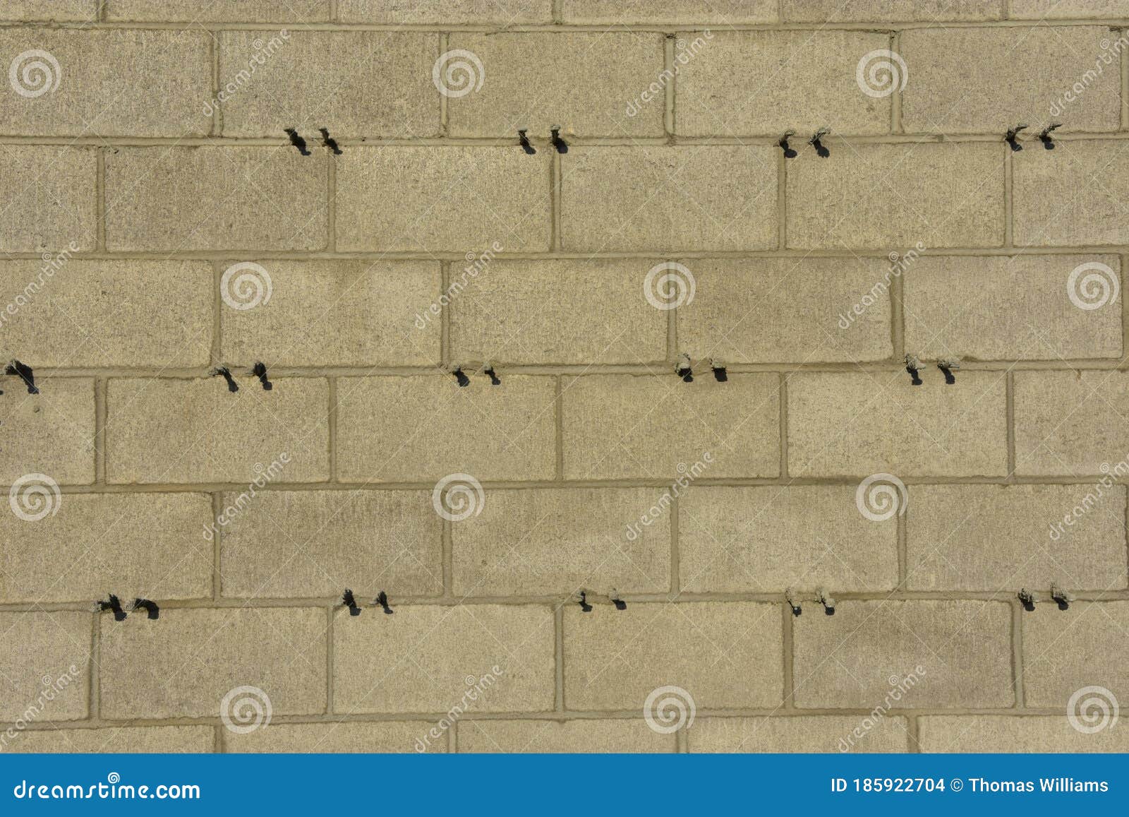 Row of Concrete Blocks in New Wall. Stock Photo - Image of building ...