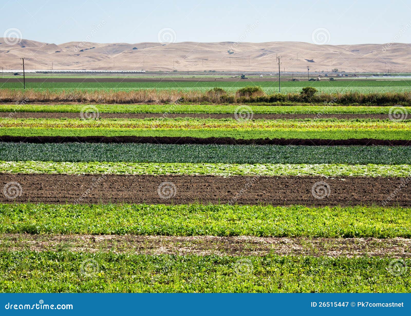 Row Crops stock image. Image of striped, layers, foothills - 26515447