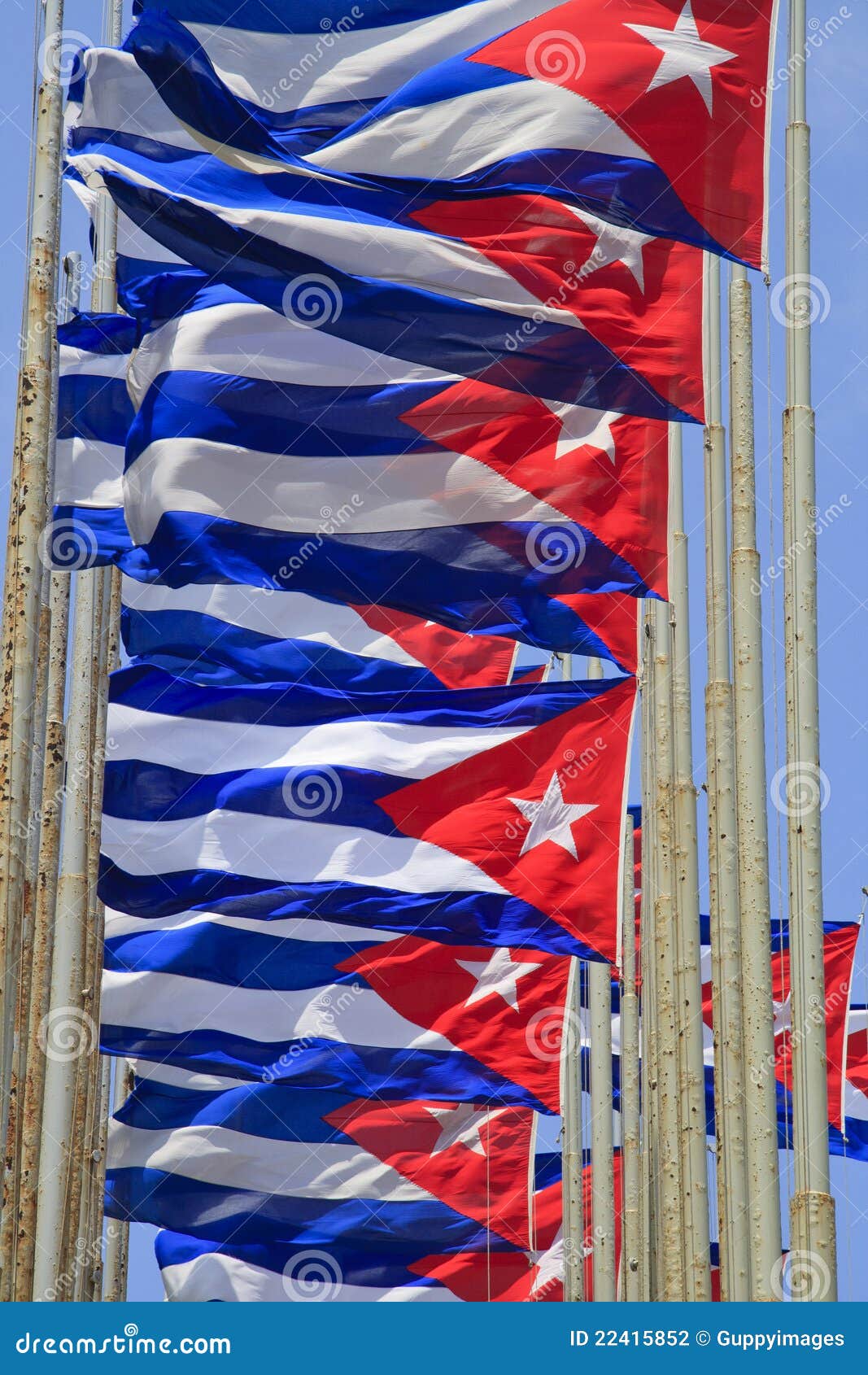 Row of Cuban Flags Flying in the Wind Stock Photo - Image of latin ...