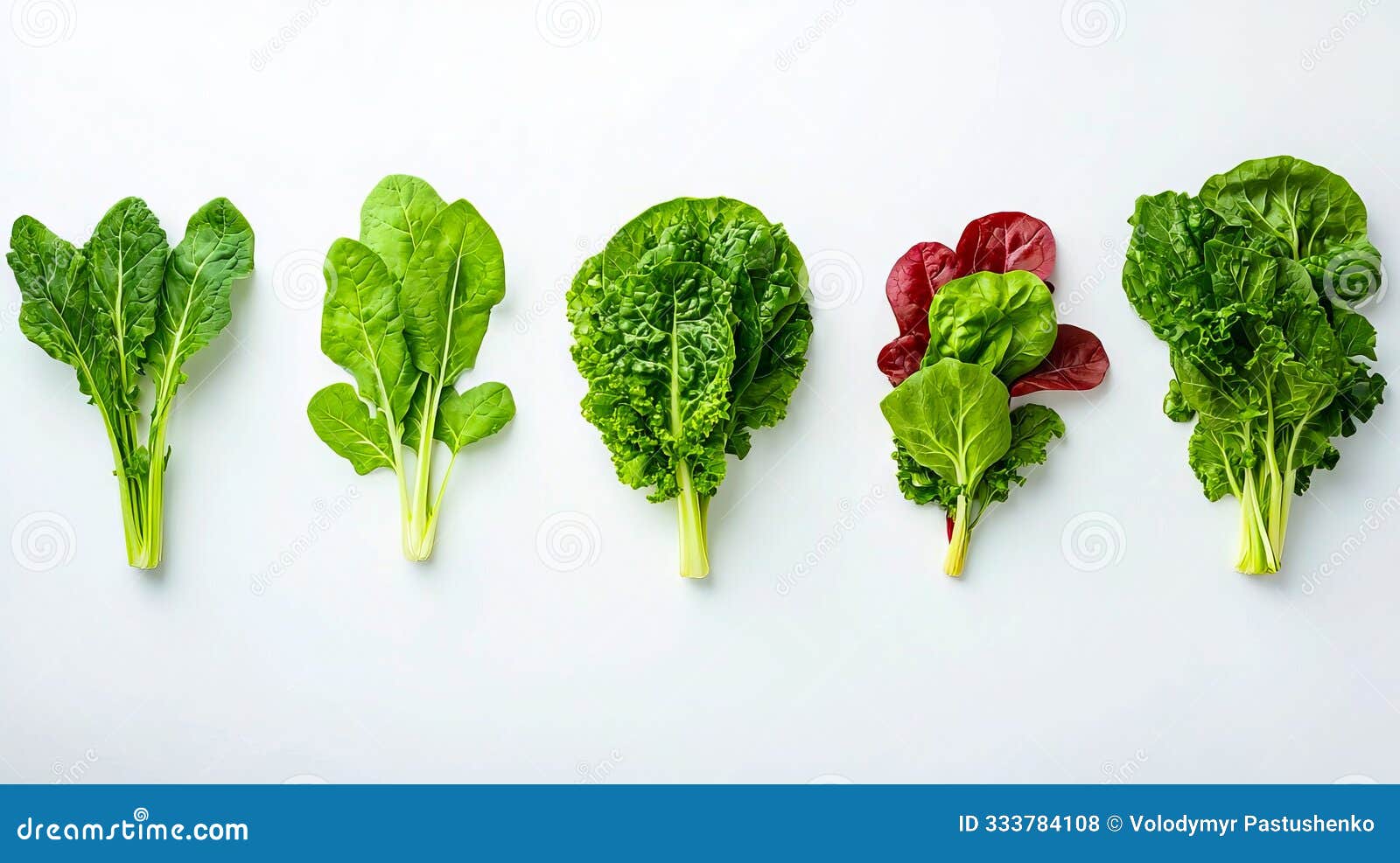A Row of Different Types of Leafy Greens on a White Surface Stock Photo ...