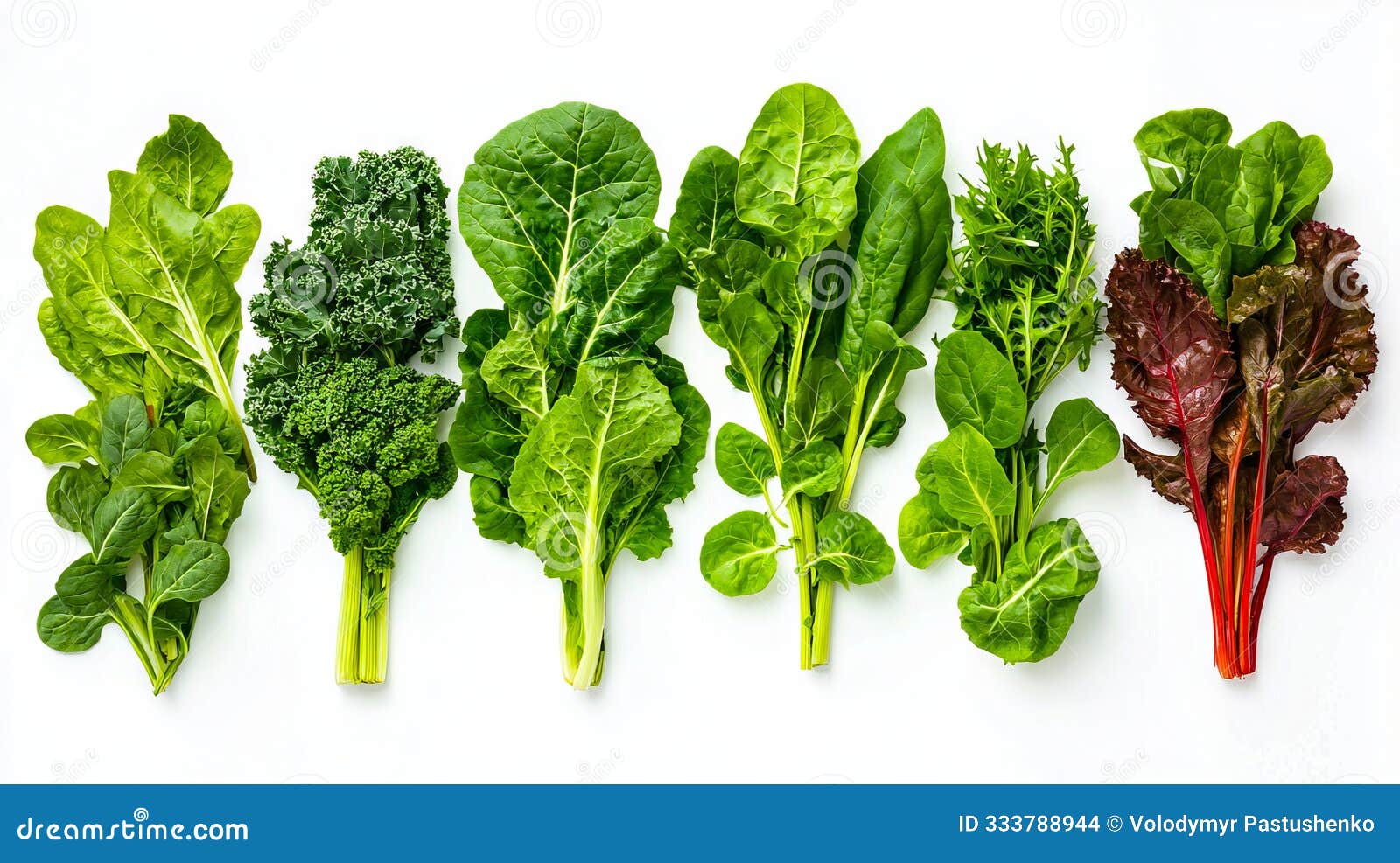 A Row Of Different Types Of Leafy Greens On A White Surface Royalty ...