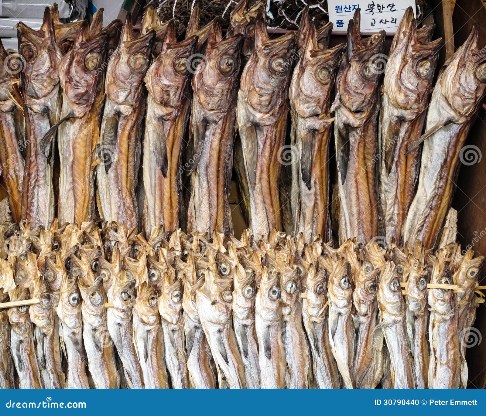A Row of Dried Fish for Sale Stock Photo - Image of outdoors, head ...