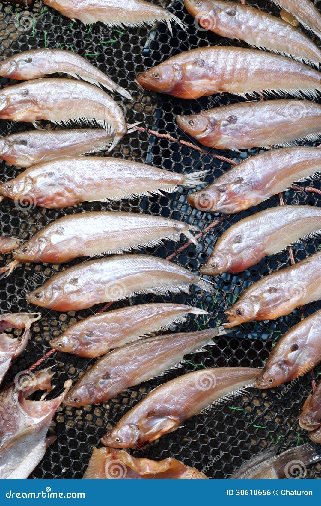 Row dried fish stock photo. Image of heat, human, gourmet - 30610656