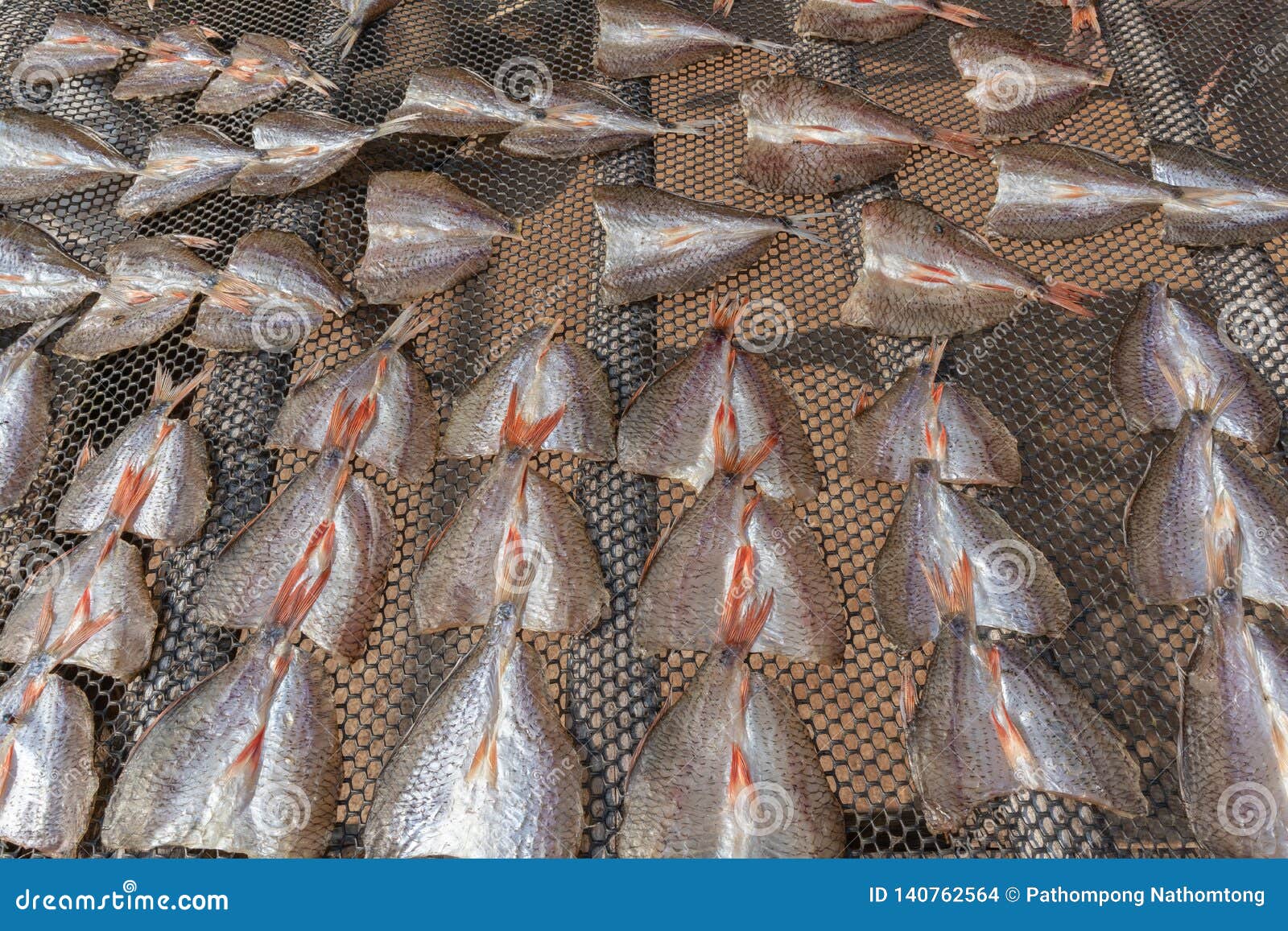 Dried Salt Fish on Sunny Day at Thailand Stock Photo - Image of dried ...