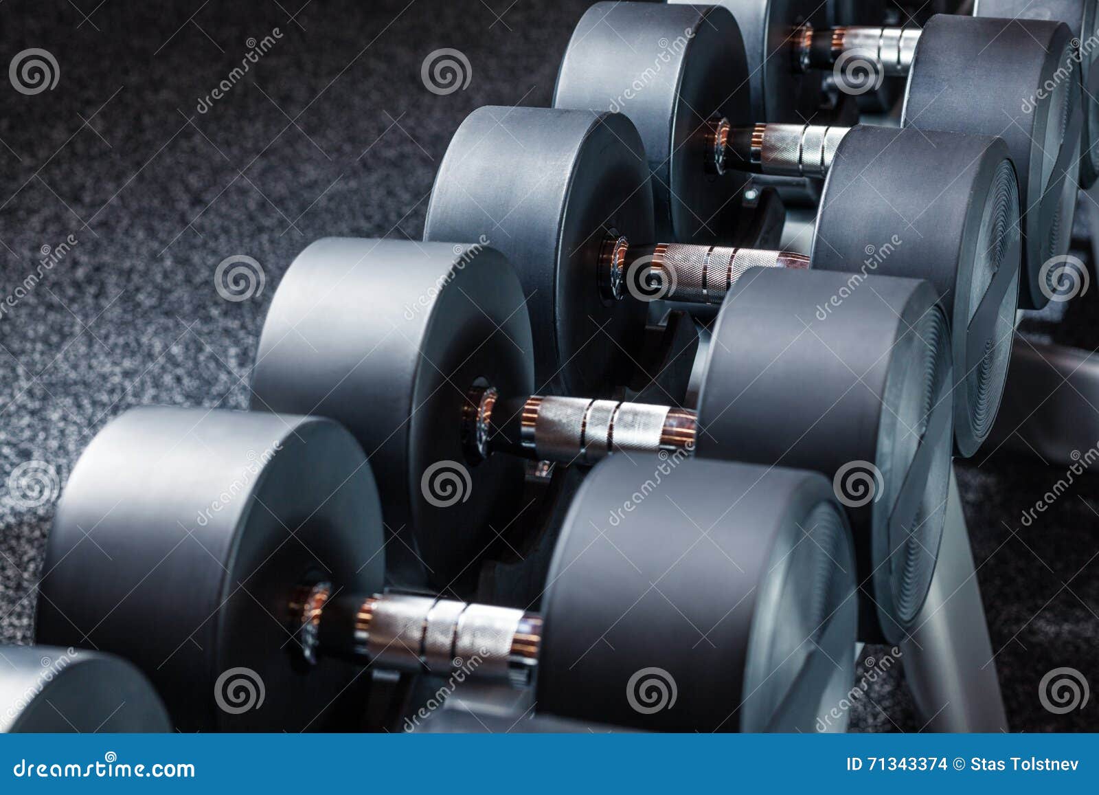 Row of dumbbells at gym stock photo. Image of strength - 71343374