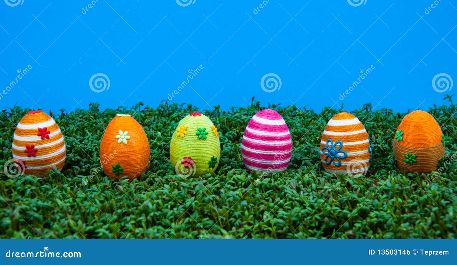 Row of Easter Eggs on Cress Stock Photo - Image of eggs, cuckoo: 13503146