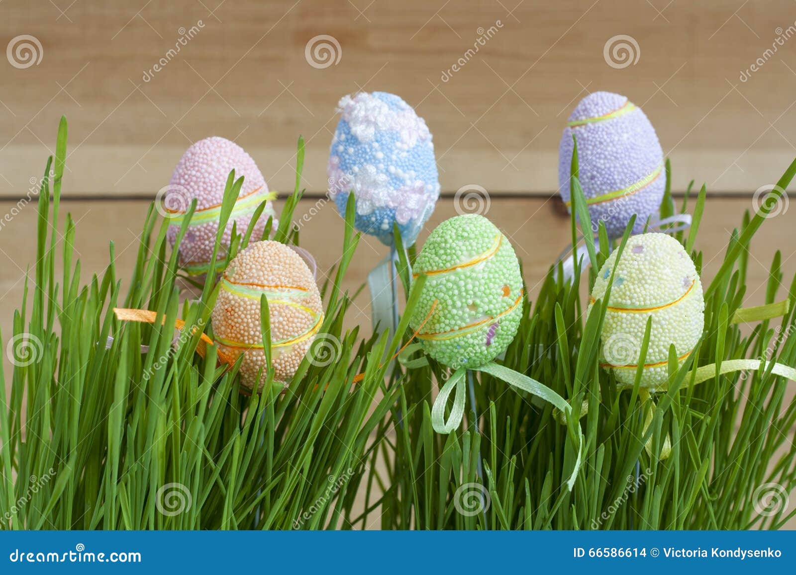 Row of Easter Eggs in Fresh Green Grass Stock Photo - Image of green ...