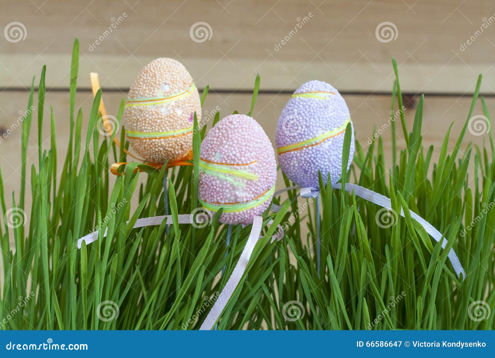 Row of Easter Eggs in Fresh Green Grass Stock Image - Image of green ...