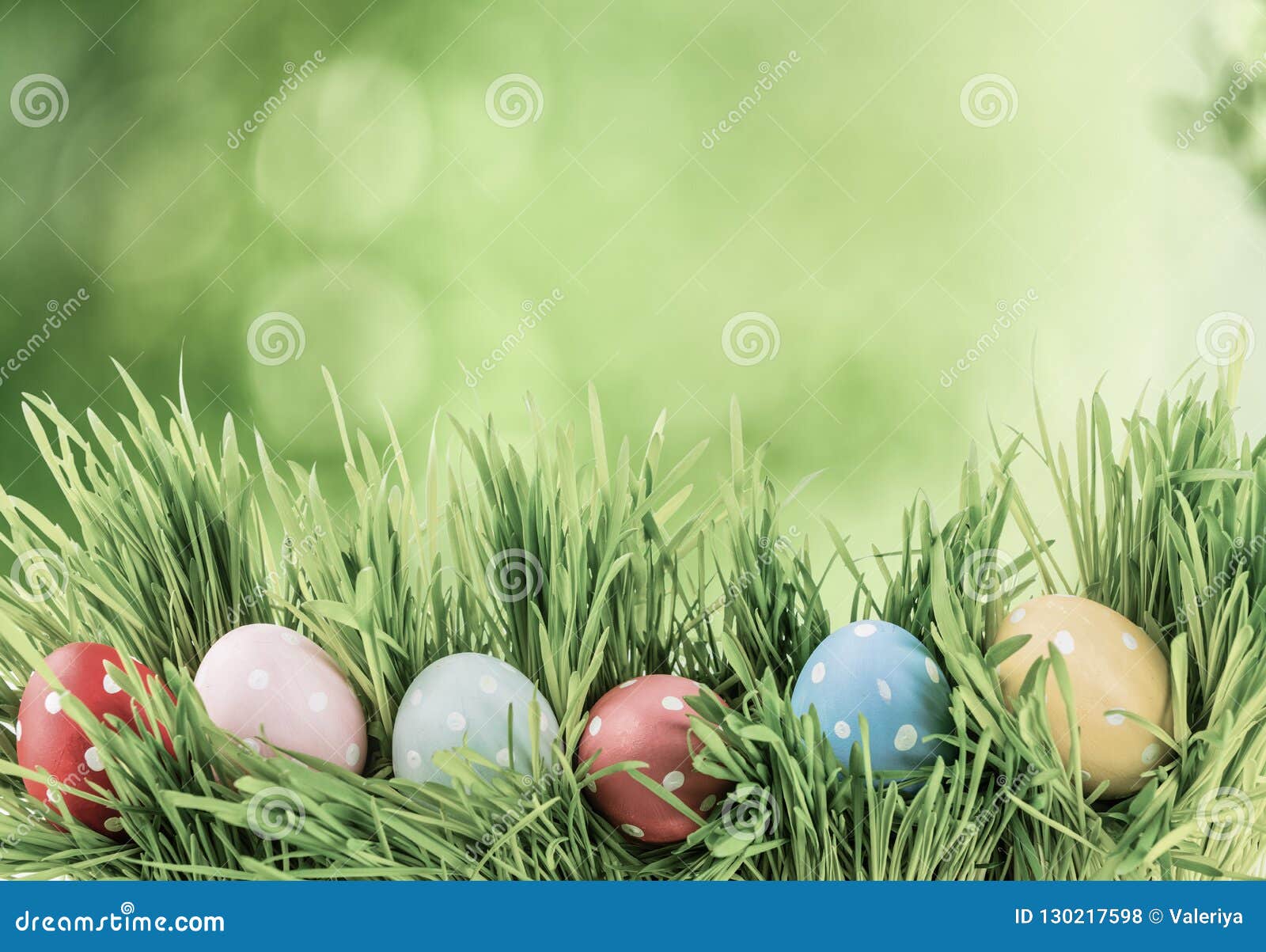 Row of Easter Eggs in Green Grass Stock Photo - Image of nature ...