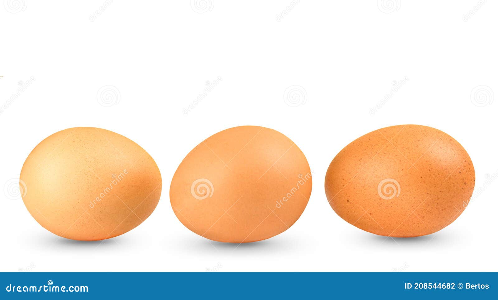 Row of Eggs Isolated on White Background Stock Photo - Image of ...